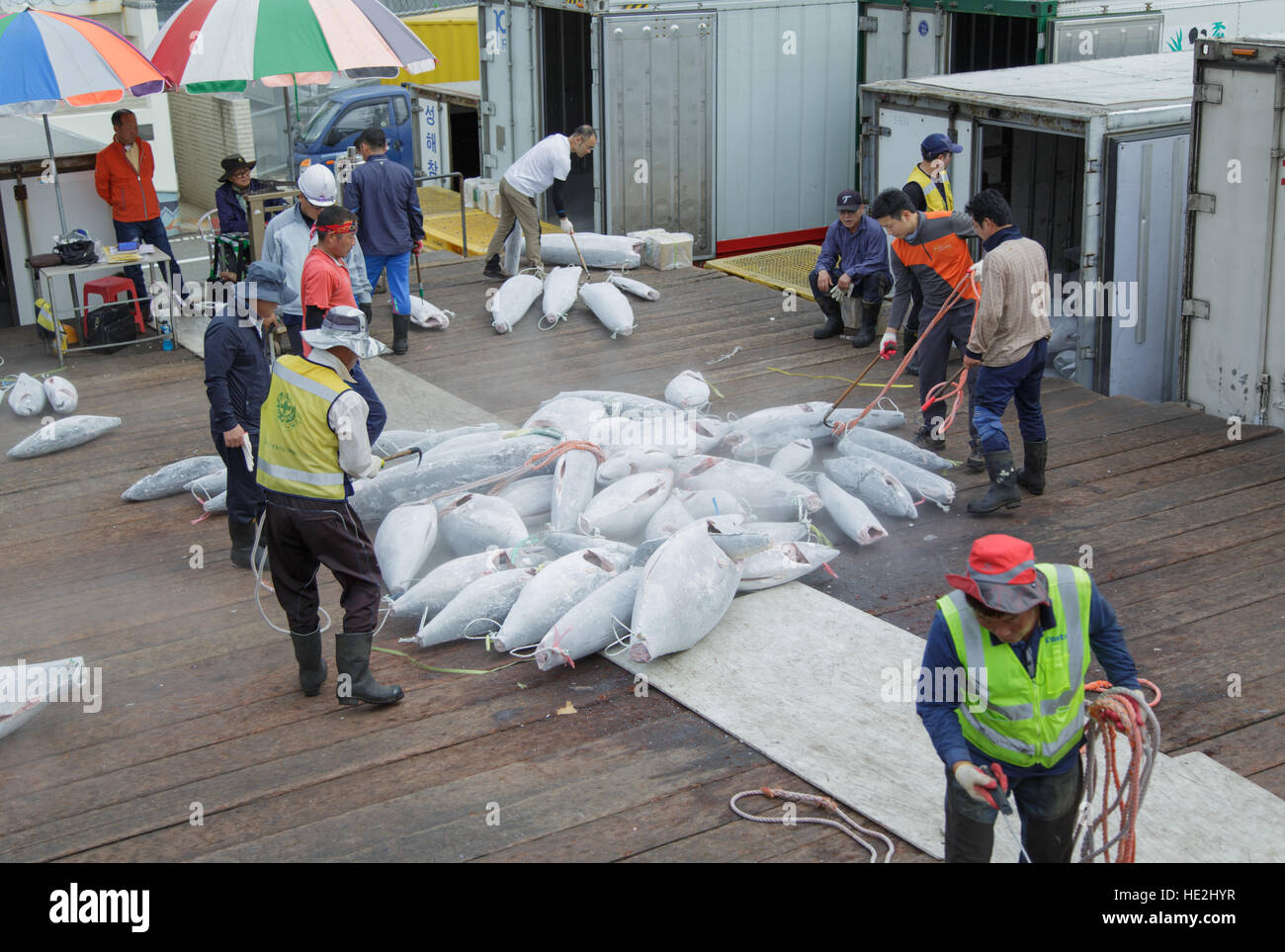 Busan, South Korea - September 22th, 2016: Busan, fish port, sorting of ...