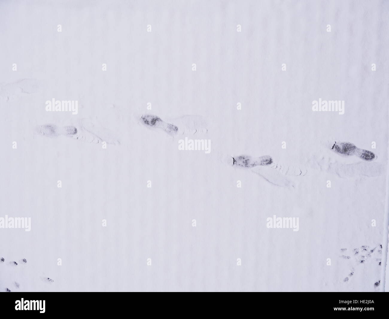 Foot direction hi-res stock photography and images - Alamy