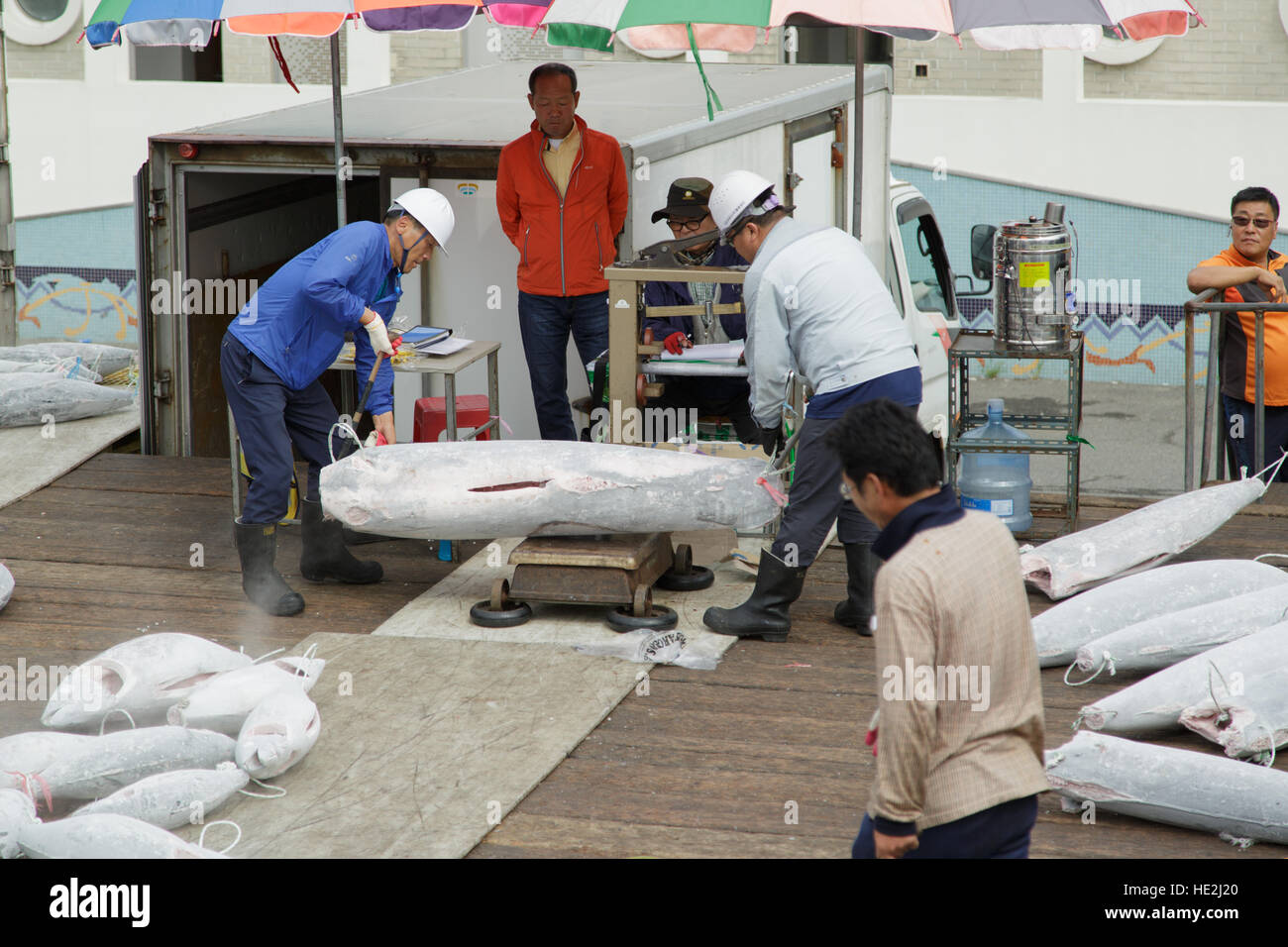 Busan, South Korea - September 22th, 2016: Busan, fish port, weighing ...