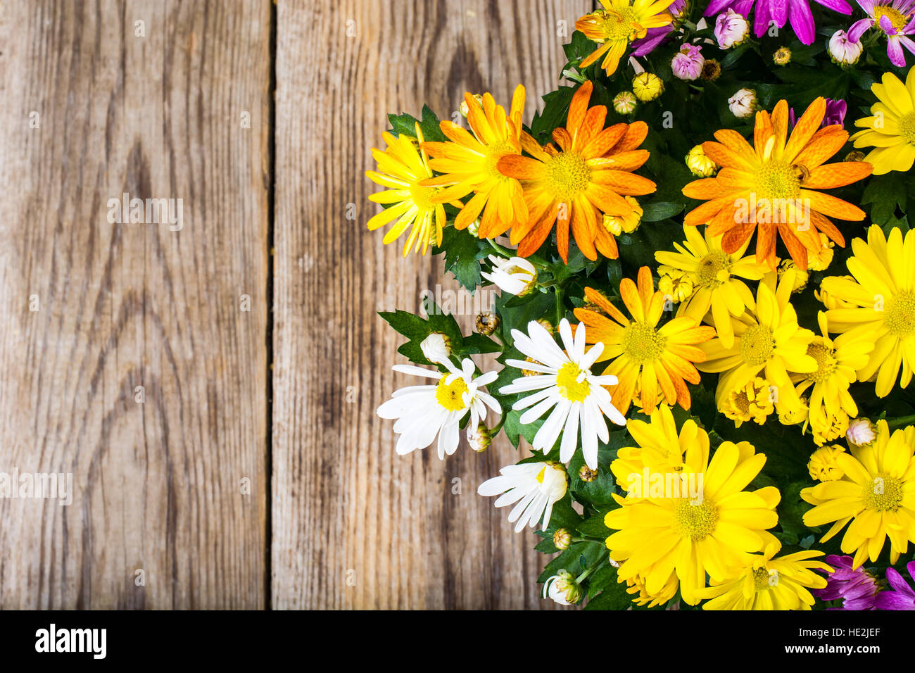 Arrangement of fresh flowers in a pot Stock Photo - Alamy