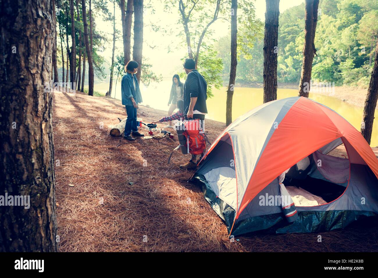Friends Camping Tent Woods Outdoors Concept Stock Photo - Alamy