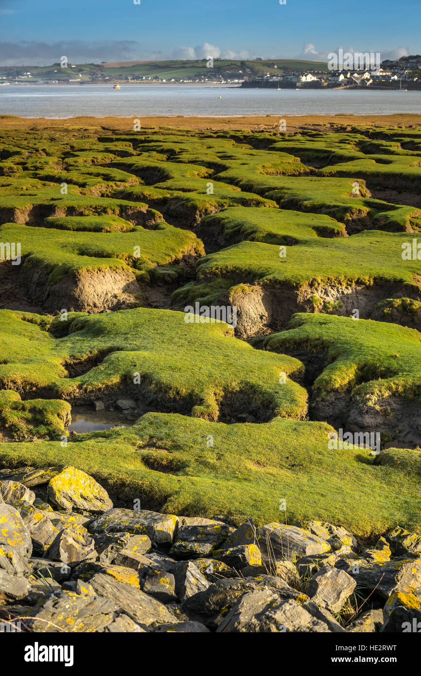 Northam burrows hi-res stock photography and images - Alamy