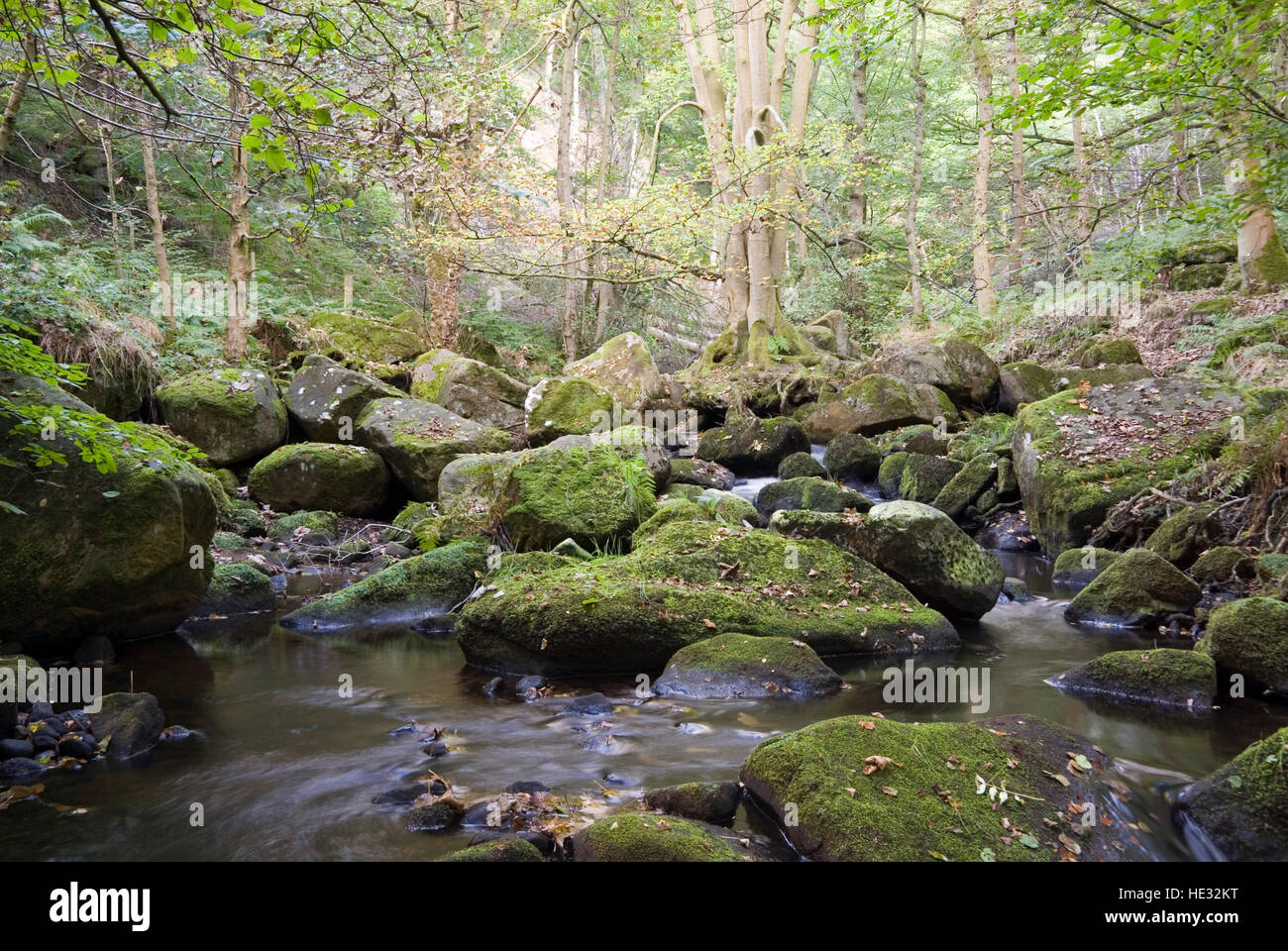 Burbage Brook flows down the forested rocky river valley of Padley ...