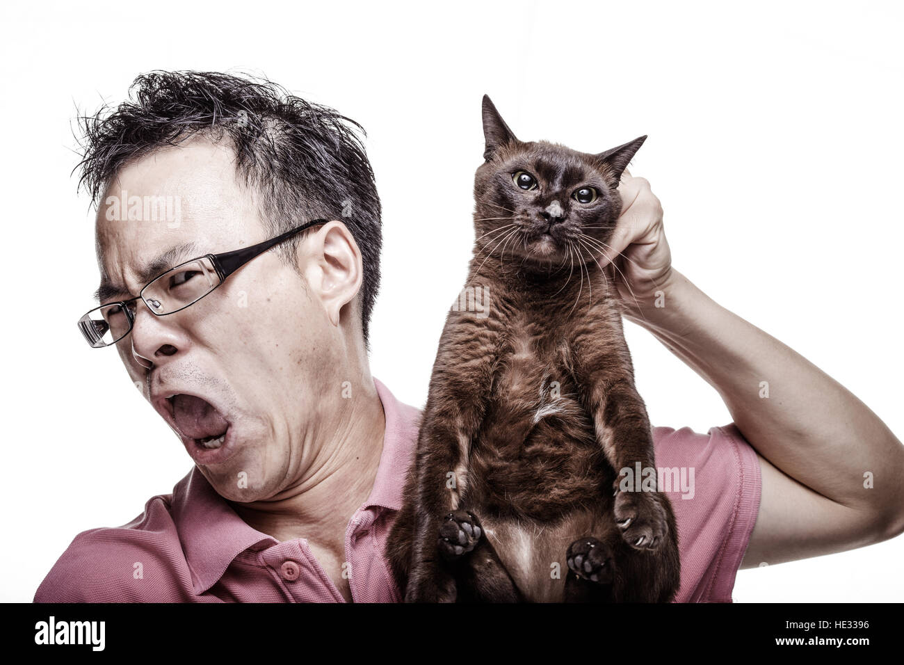 Smelly cat hi-res stock photography and images - Alamy