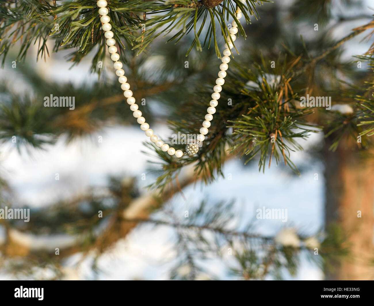 Necklace On Tree Stock Photo - Alamy