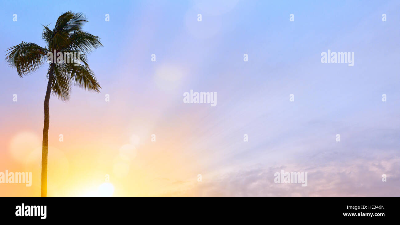 Peaceful tropical background; Sunset in the tropic Stock Photo - Alamy
