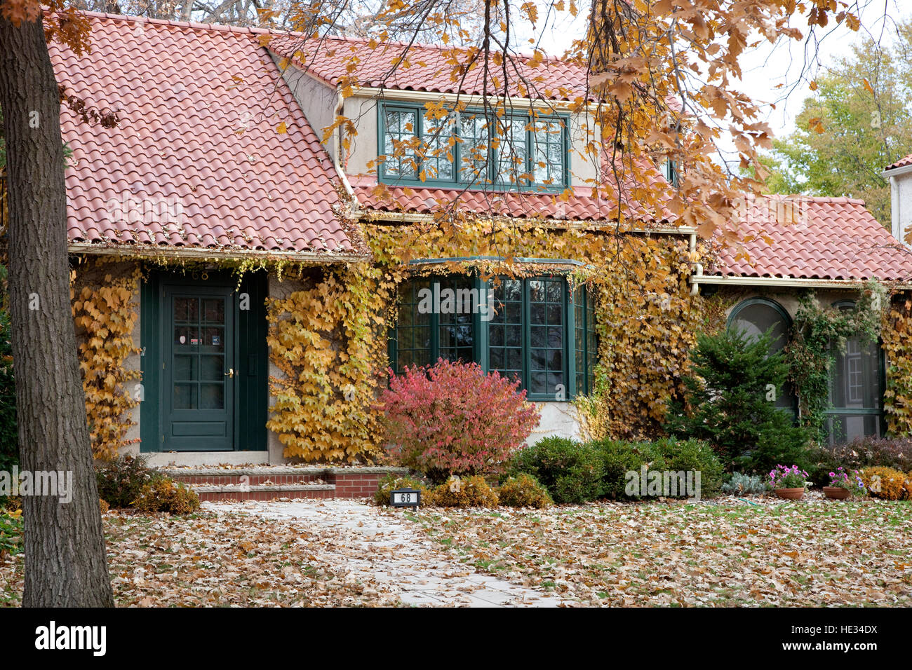 Vine roof hi-res stock photography and images - Alamy
