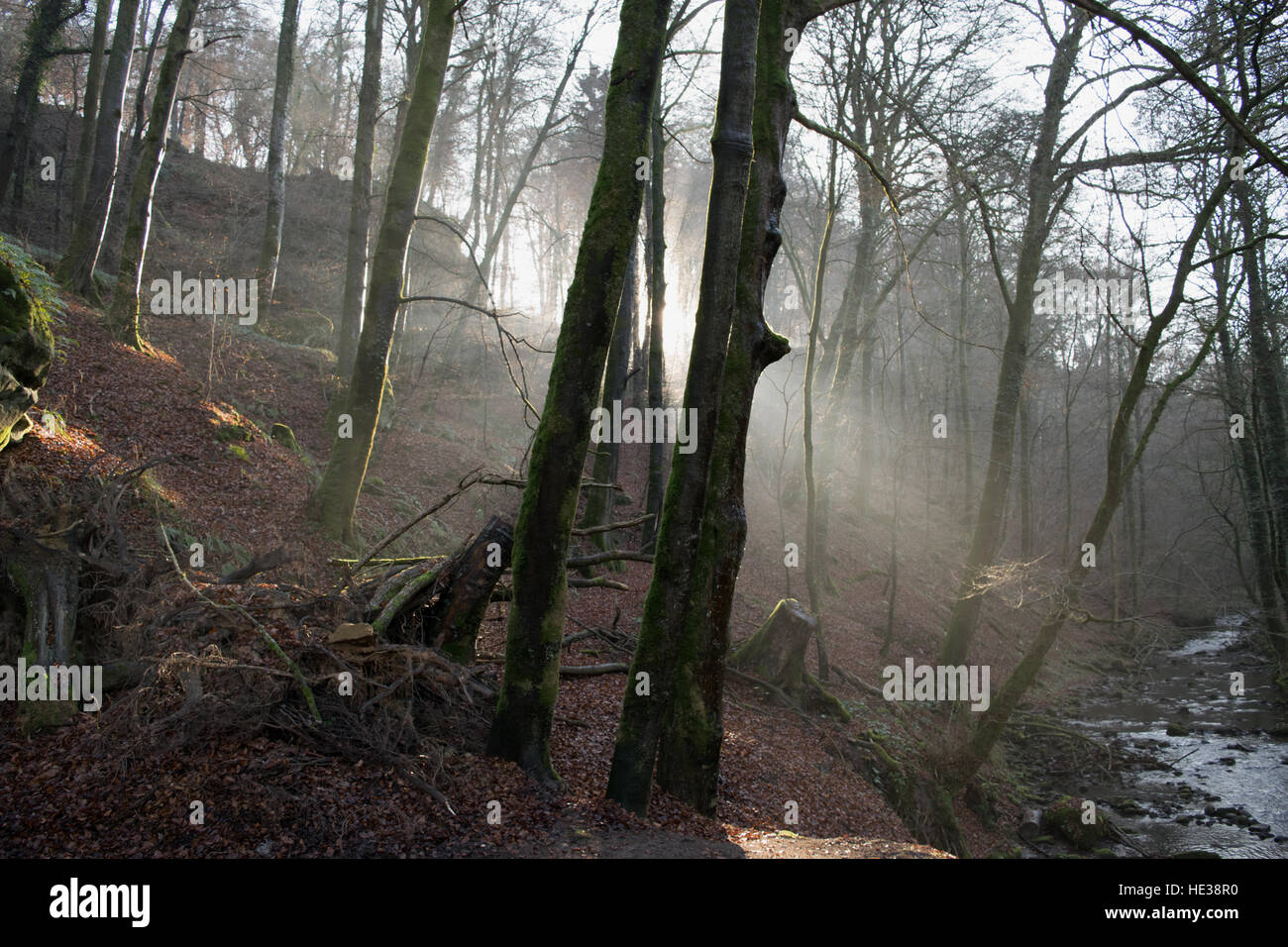 Sun breaking through mist Stock Photo - Alamy