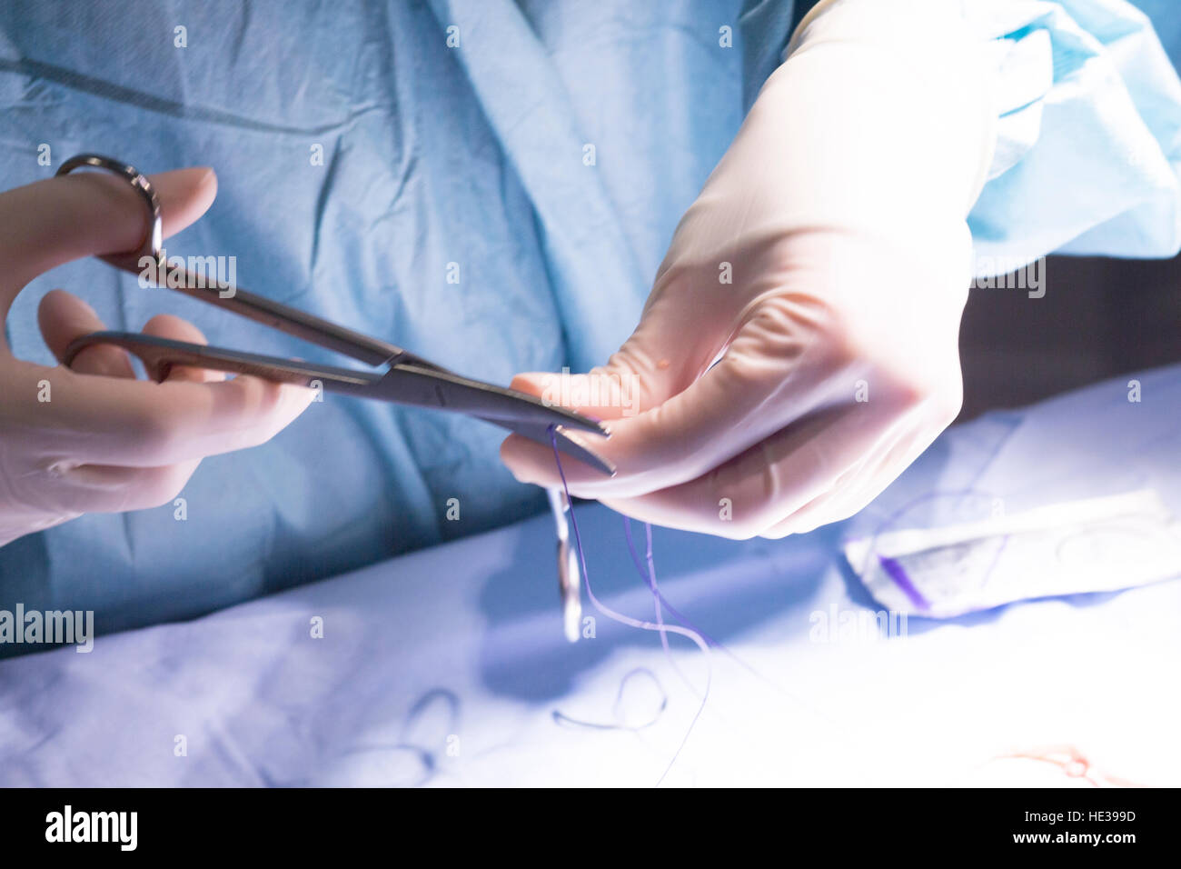 Knee tendon and ligament repair surgery in hospital operating theater ...