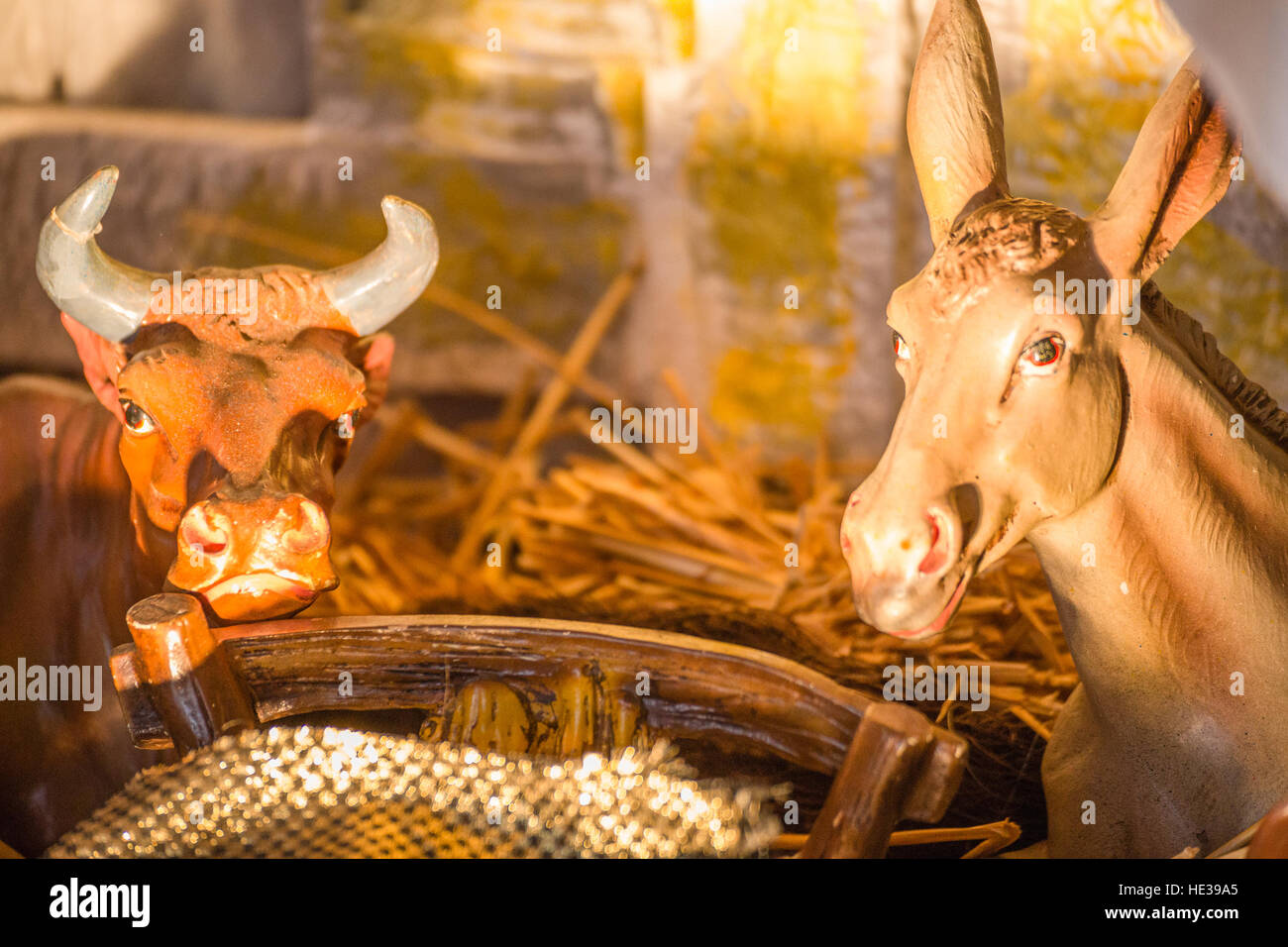 Ox and donkey hi-res stock photography and images - Alamy