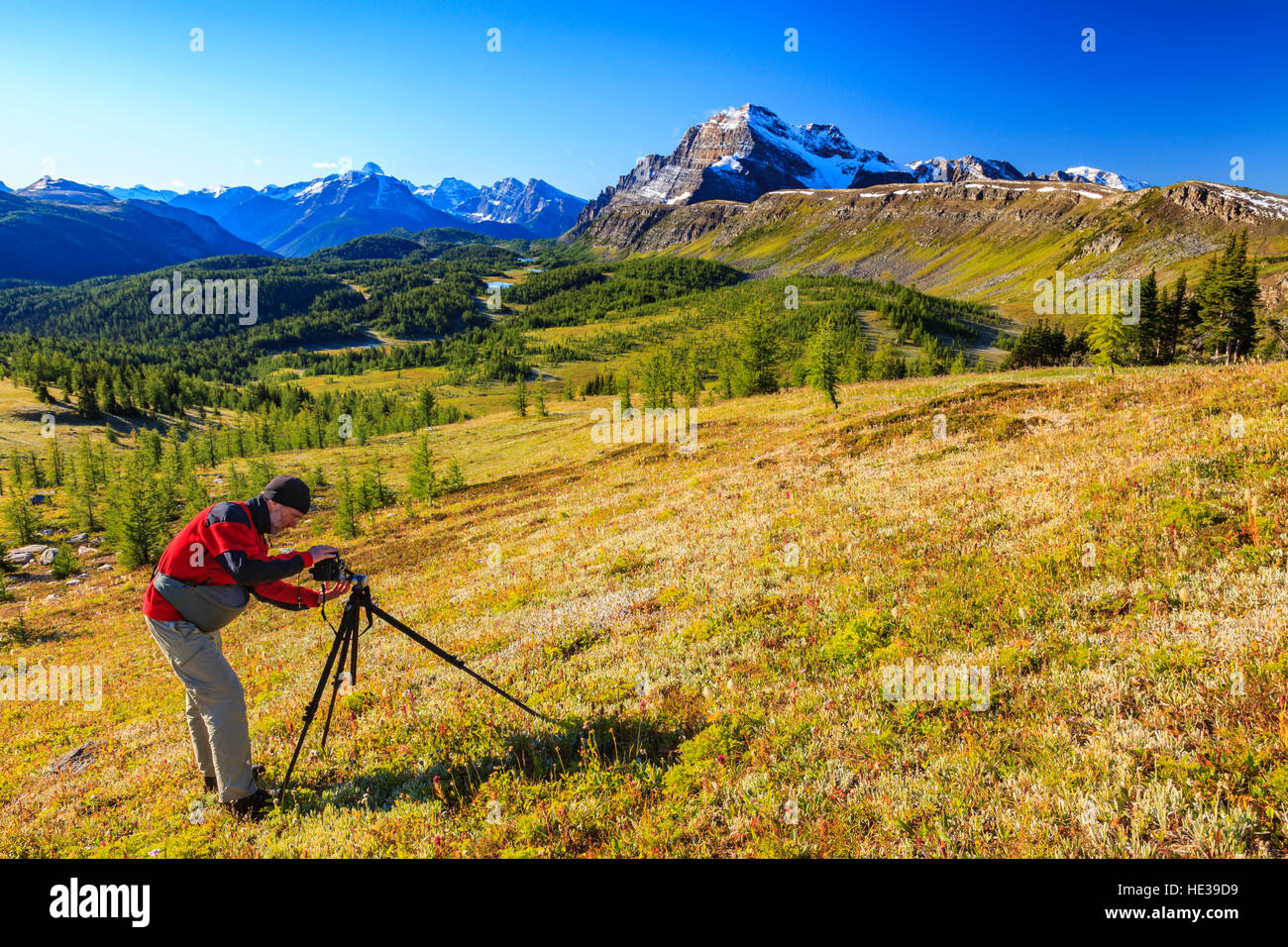 A male photographer adjusts his camera to photograph the Monarch ...