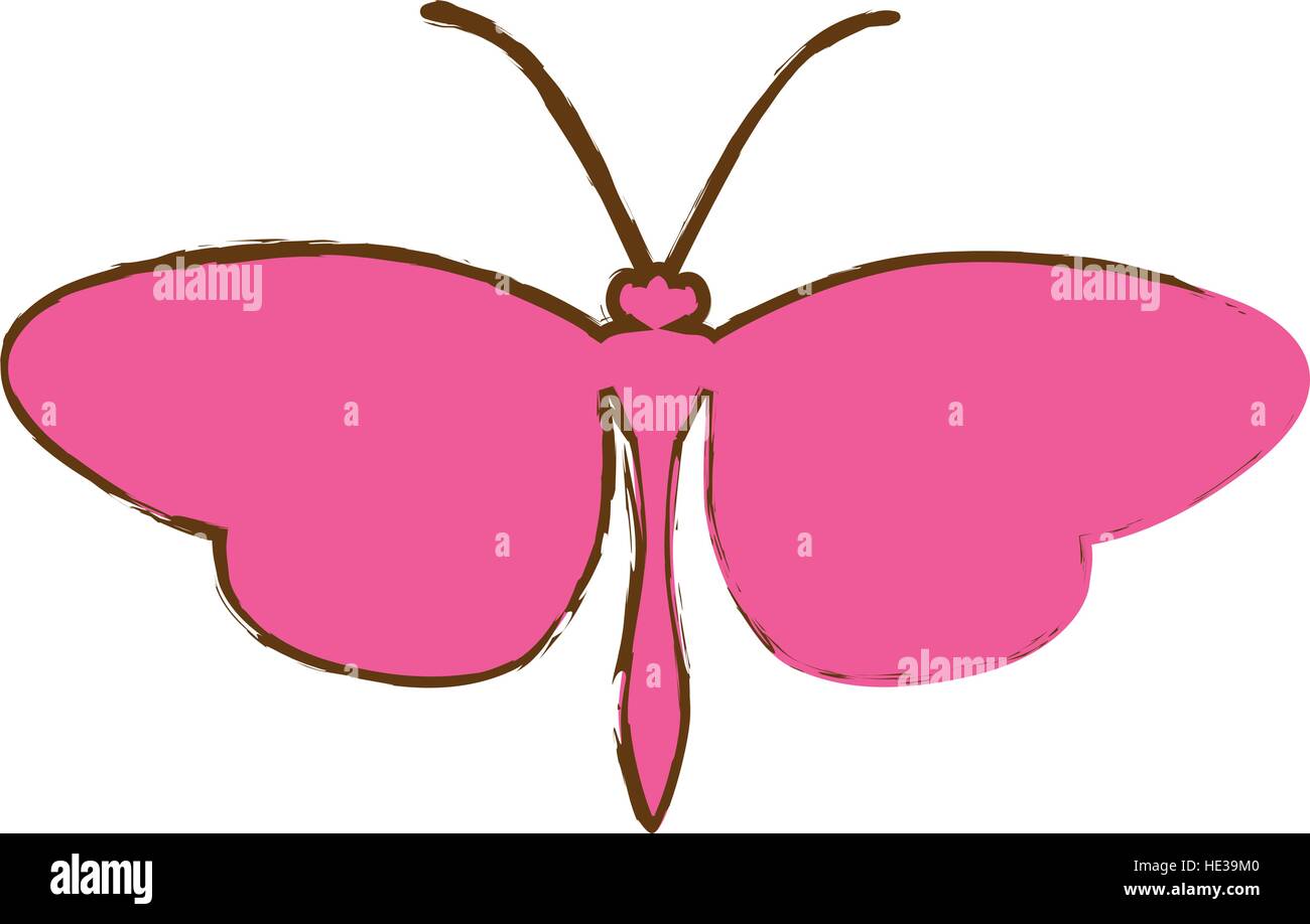 pink butterfly icon over white background. vector illustration Stock ...