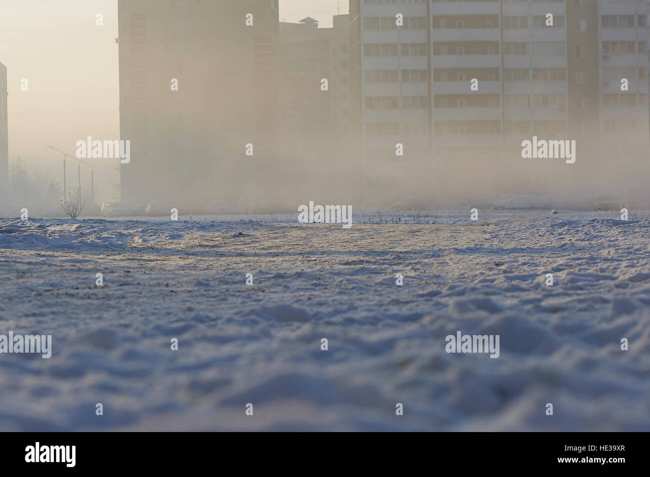 Fog creeps along the ground a frosty morning. On the background of ...