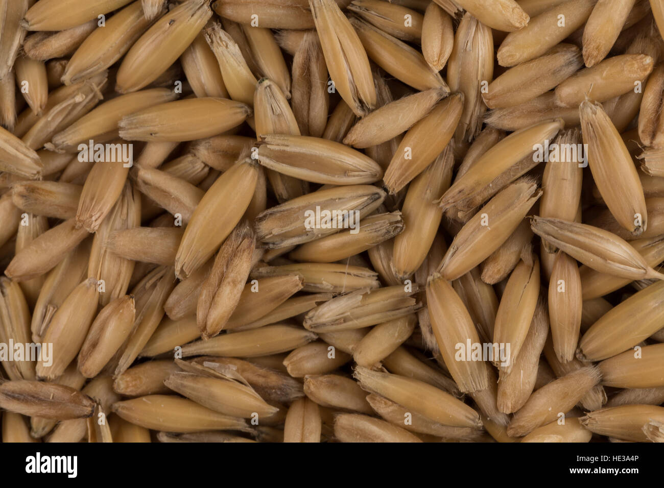 natural oat grains for background, close up shot Stock Photo - Alamy