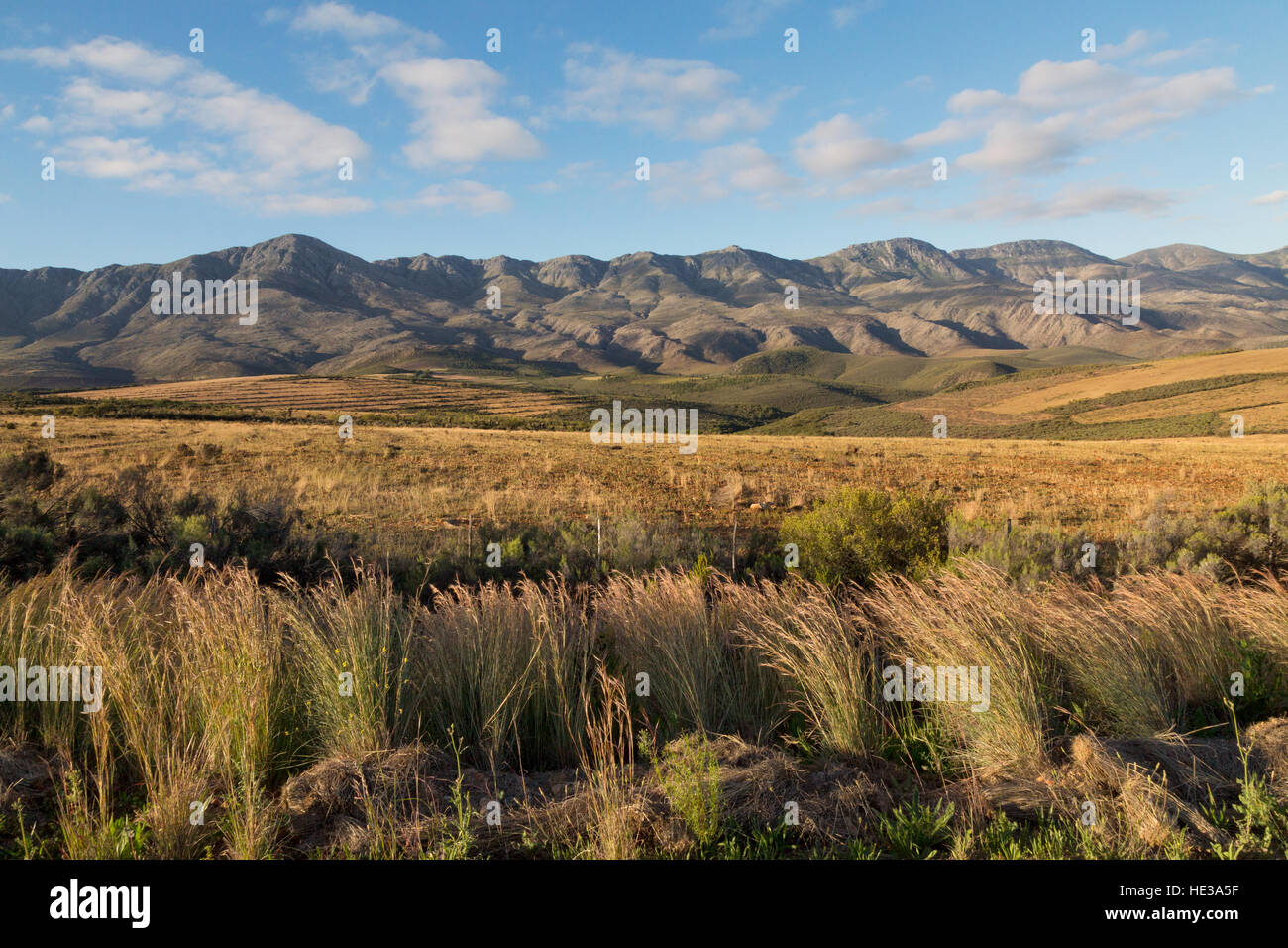 The Karoo countryside landscape at the Swartberg Pass, the Karoo, South ...