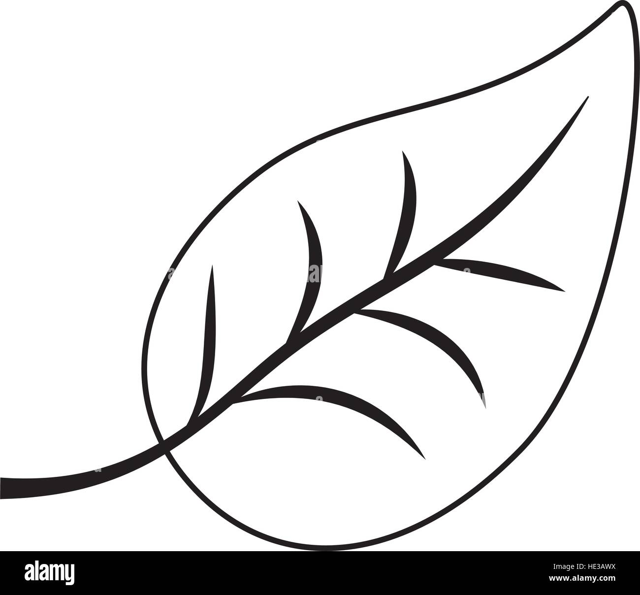 Isolated natural leaf Stock Vector Image & Art - Alamy