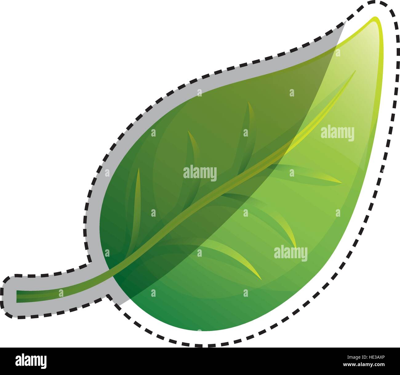 Isolated natural leaf Stock Vector Image & Art - Alamy