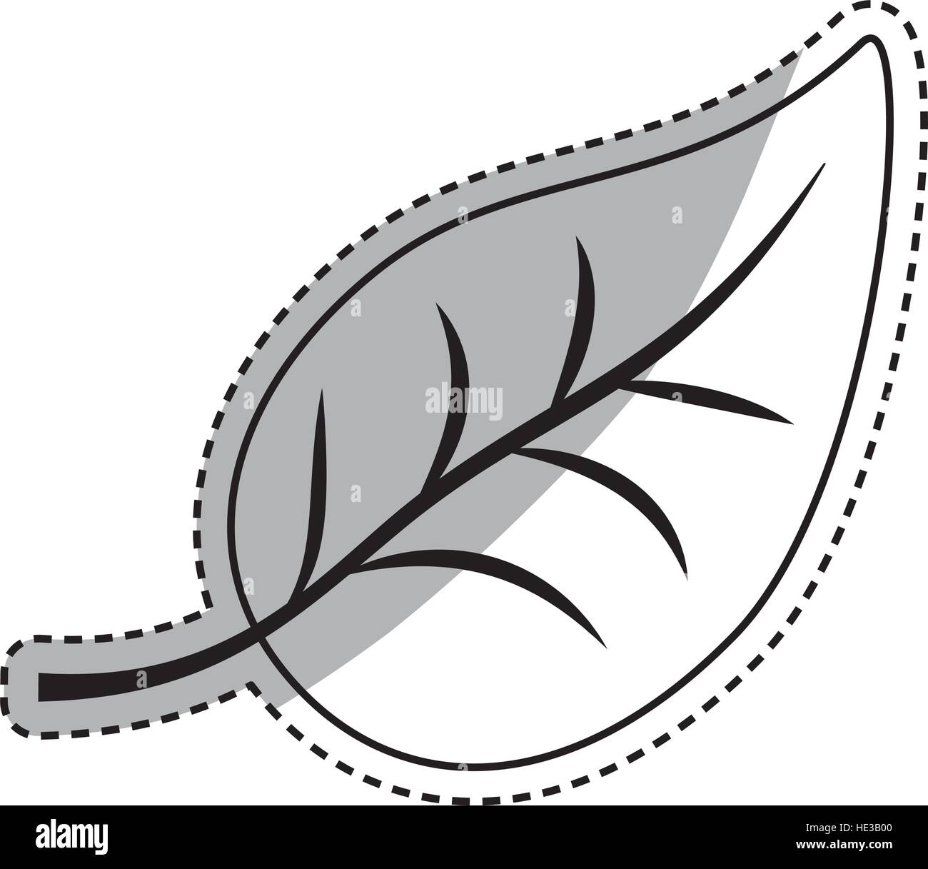 Isolated natural leaf Stock Vector Image & Art - Alamy