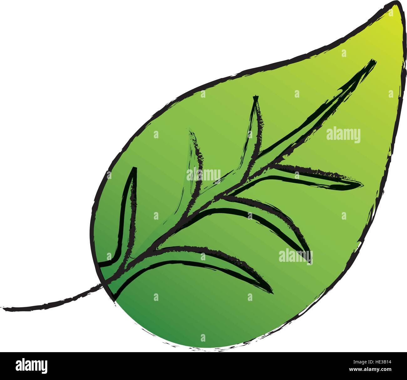 Isolated natural leaf Stock Vector Image & Art - Alamy