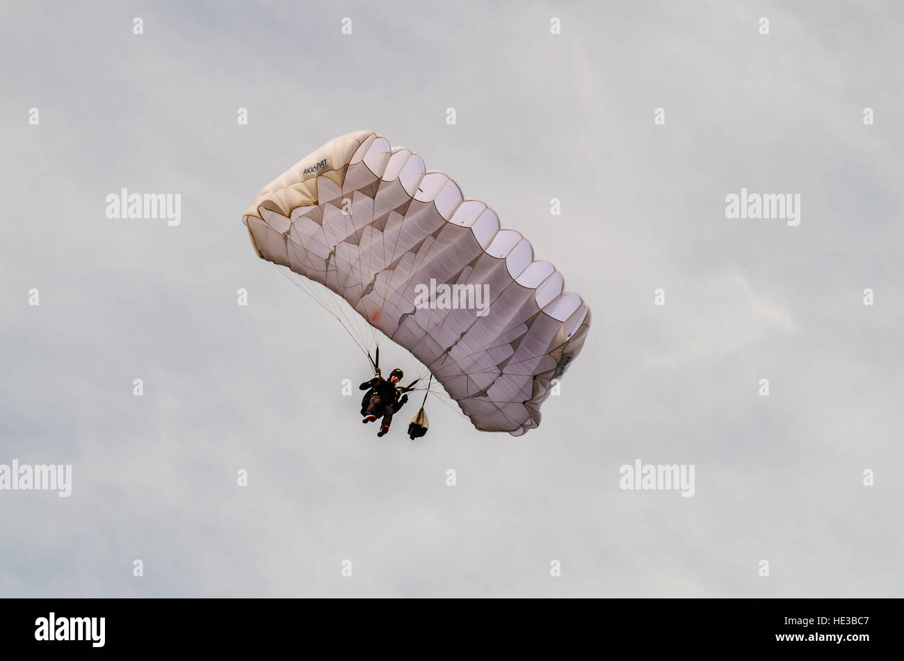Parachutists - 2014.Flight under the parachute Stock Photo - Alamy