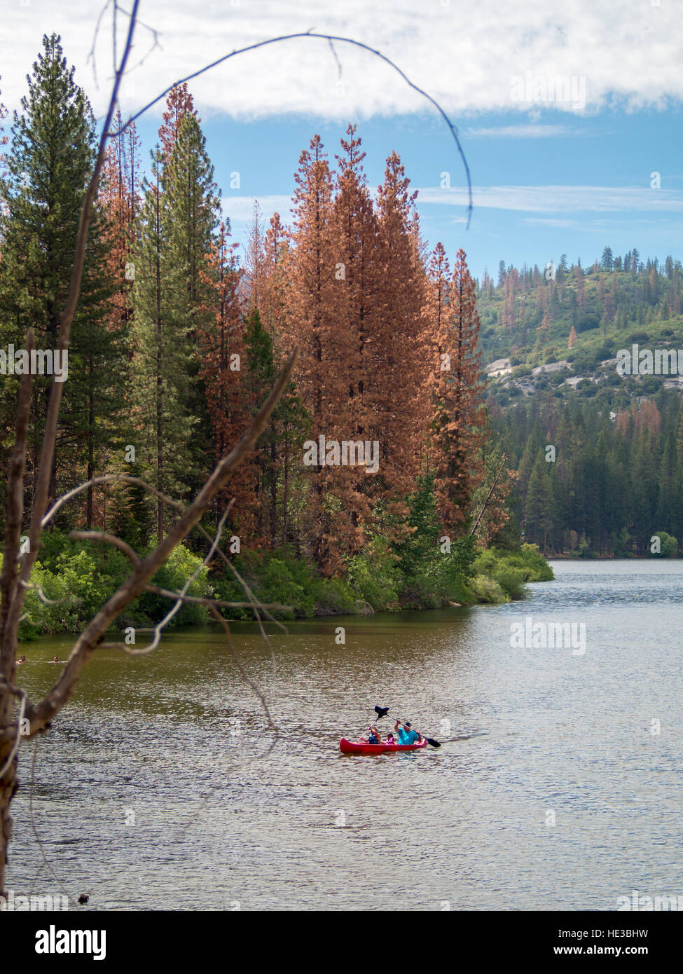 Canoing in Hume Lake Stock Photo - Alamy