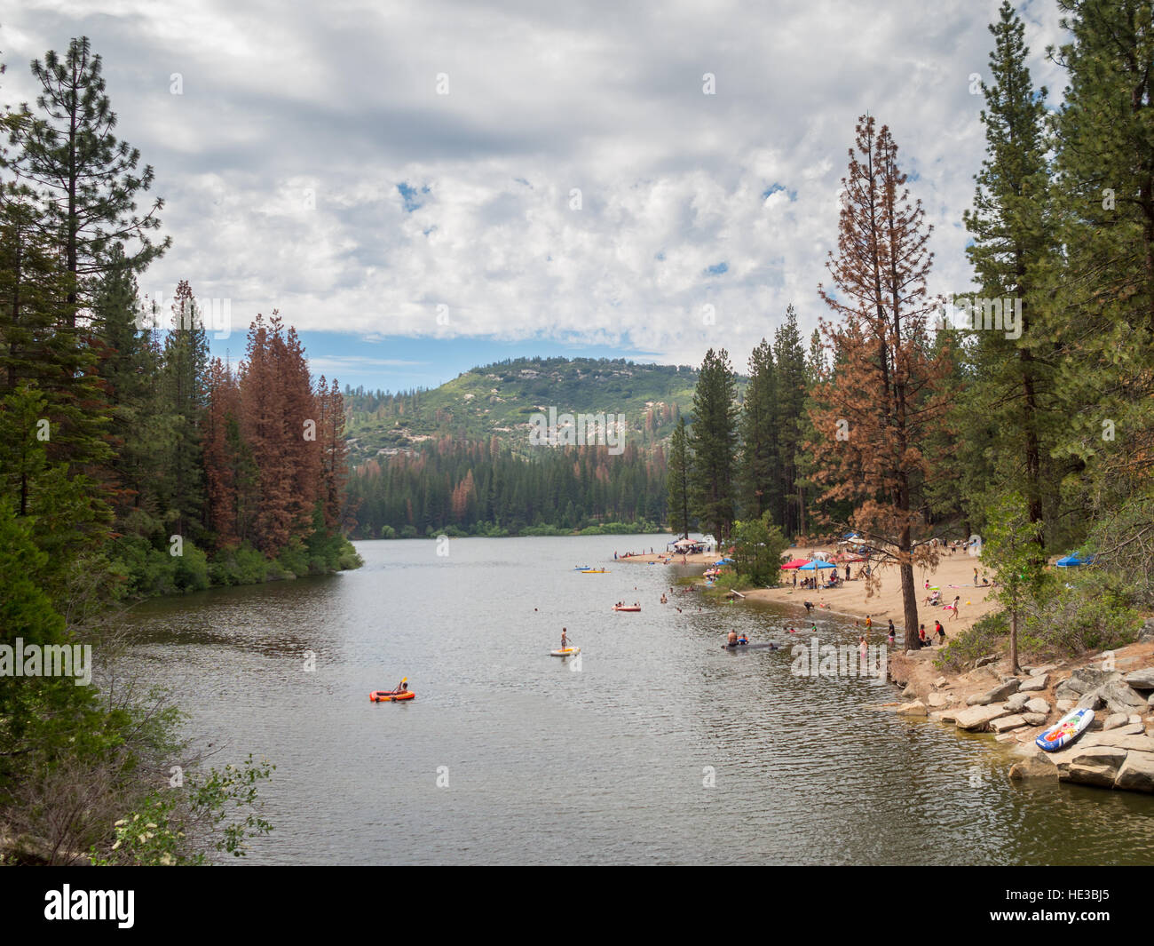 Hume park hi-res stock photography and images - Alamy