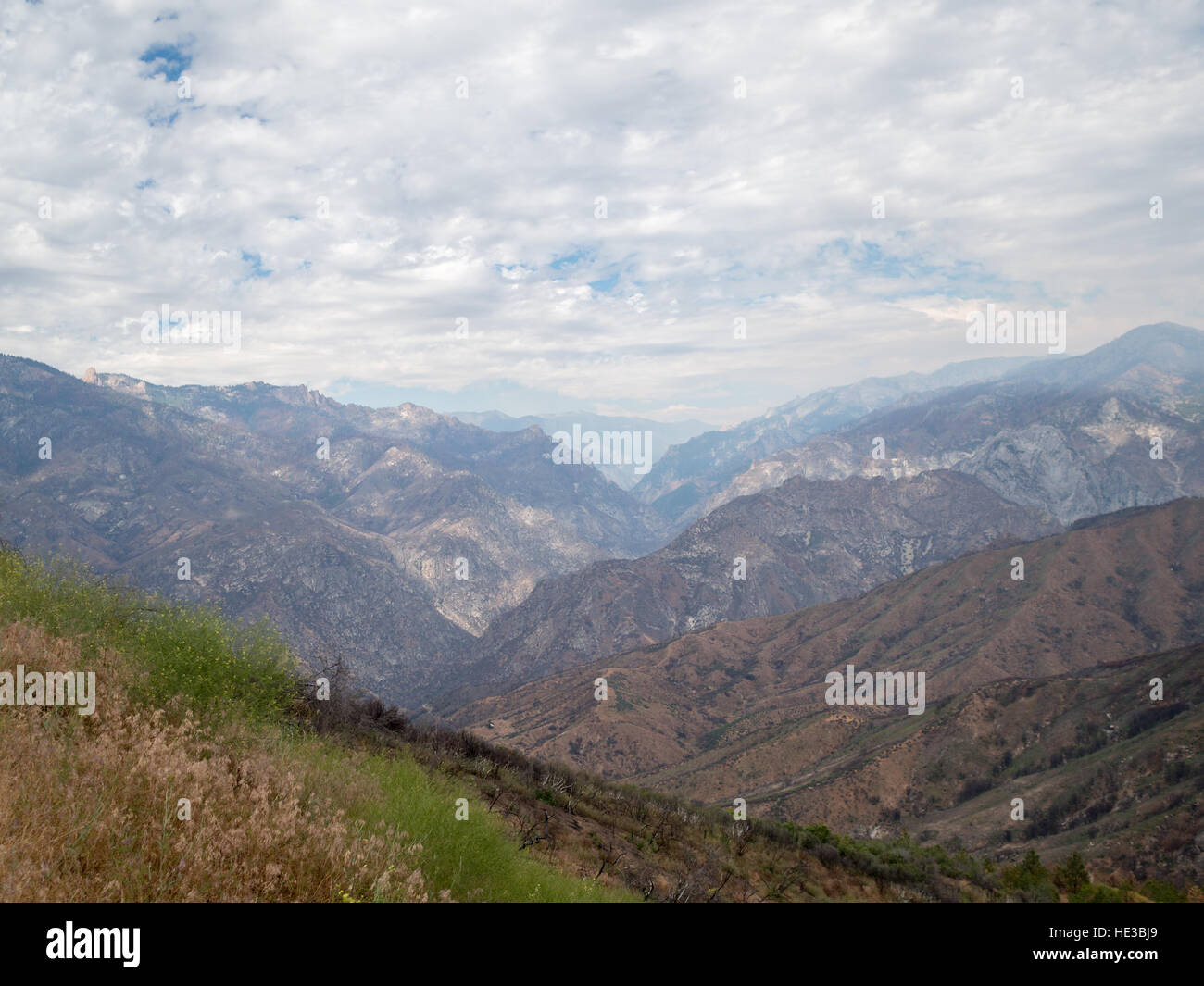 Sequoia & kings canyon national park hi-res stock photography and ...