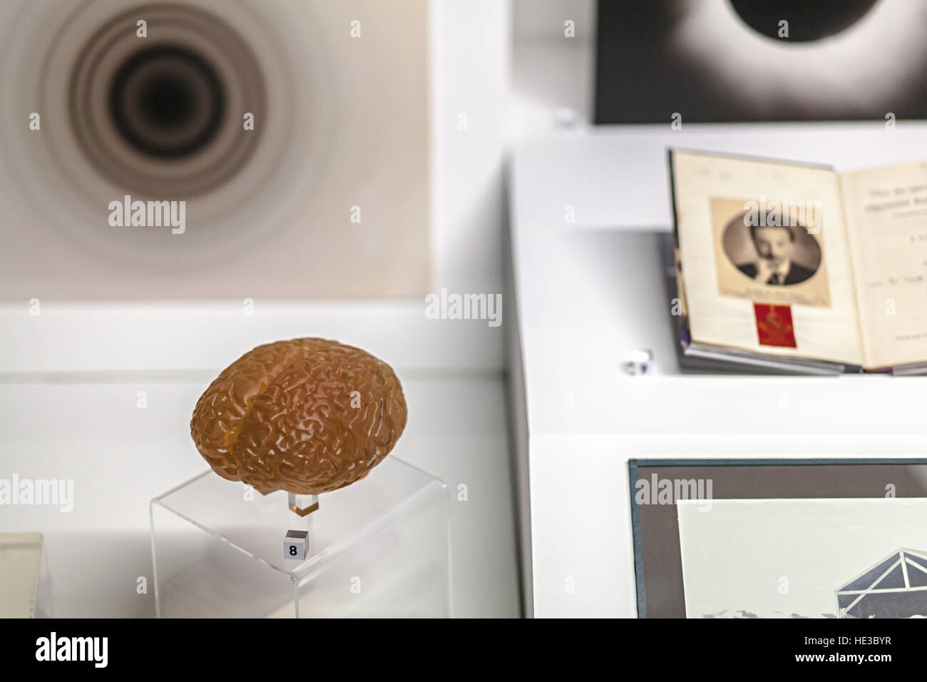 Albert Einsteins Brain On Display