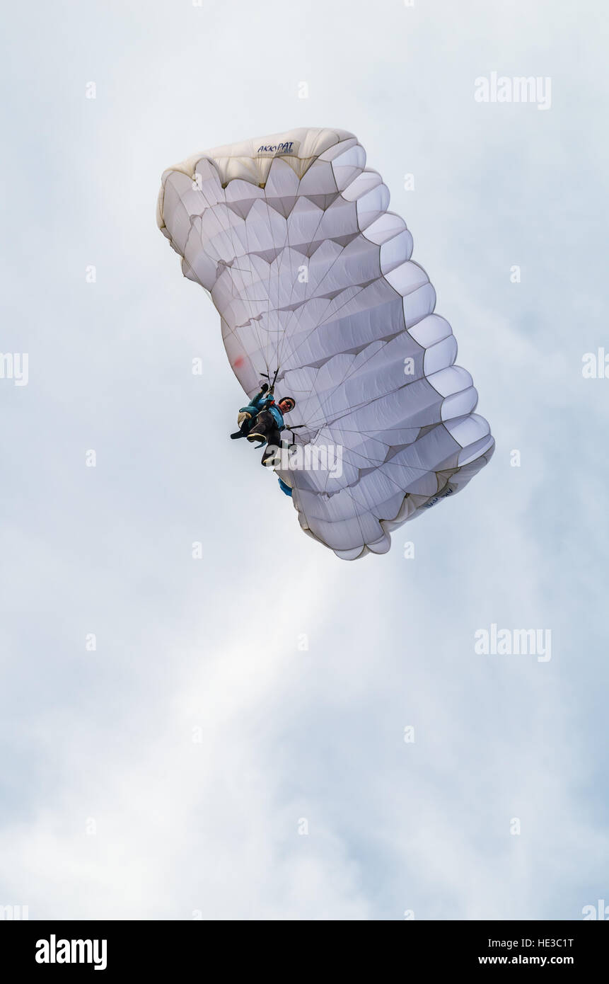 Parachutists - 2014.Flight under the parachute Stock Photo - Alamy