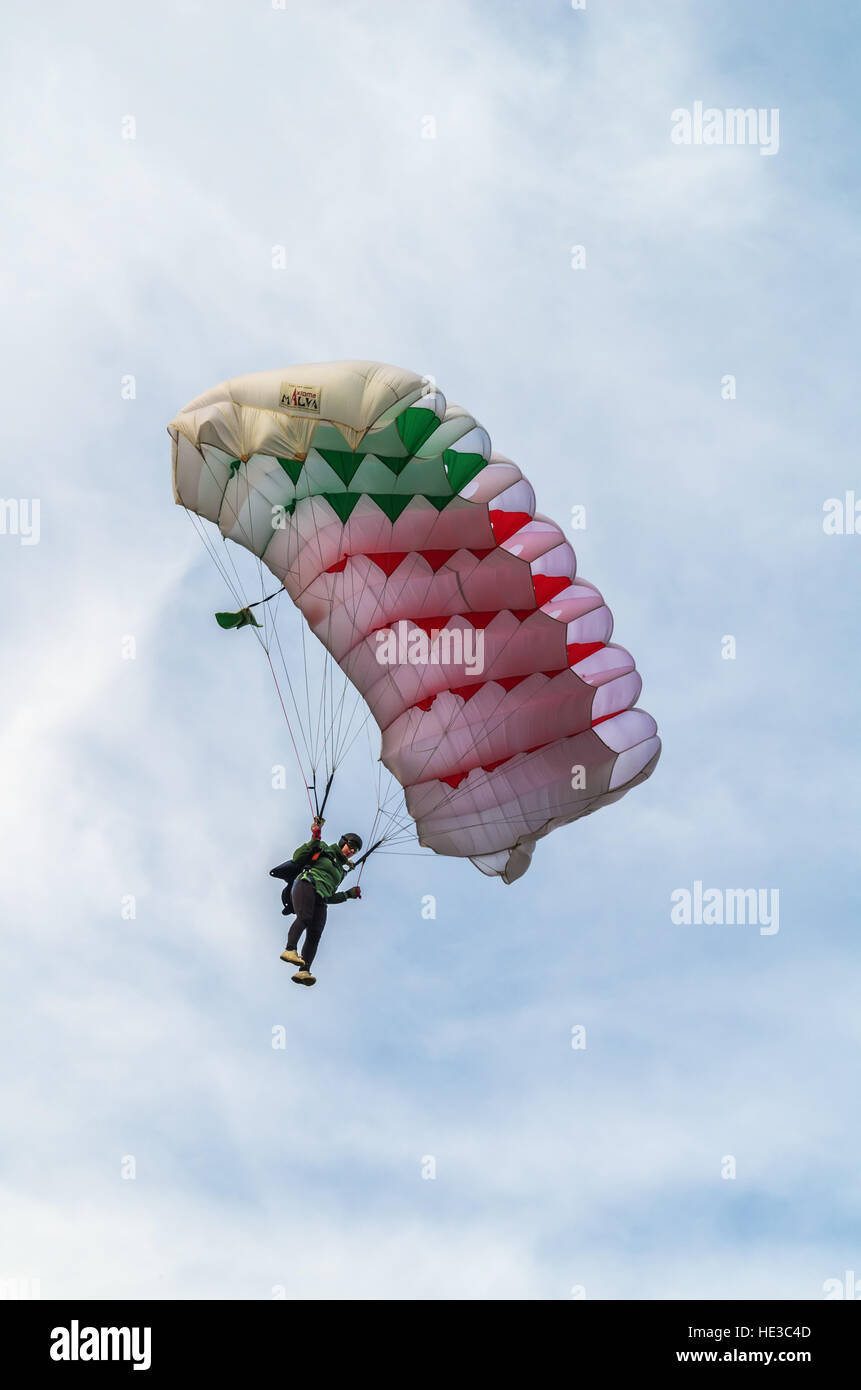 Parachutists - 2014.Flight under the parachute Stock Photo - Alamy