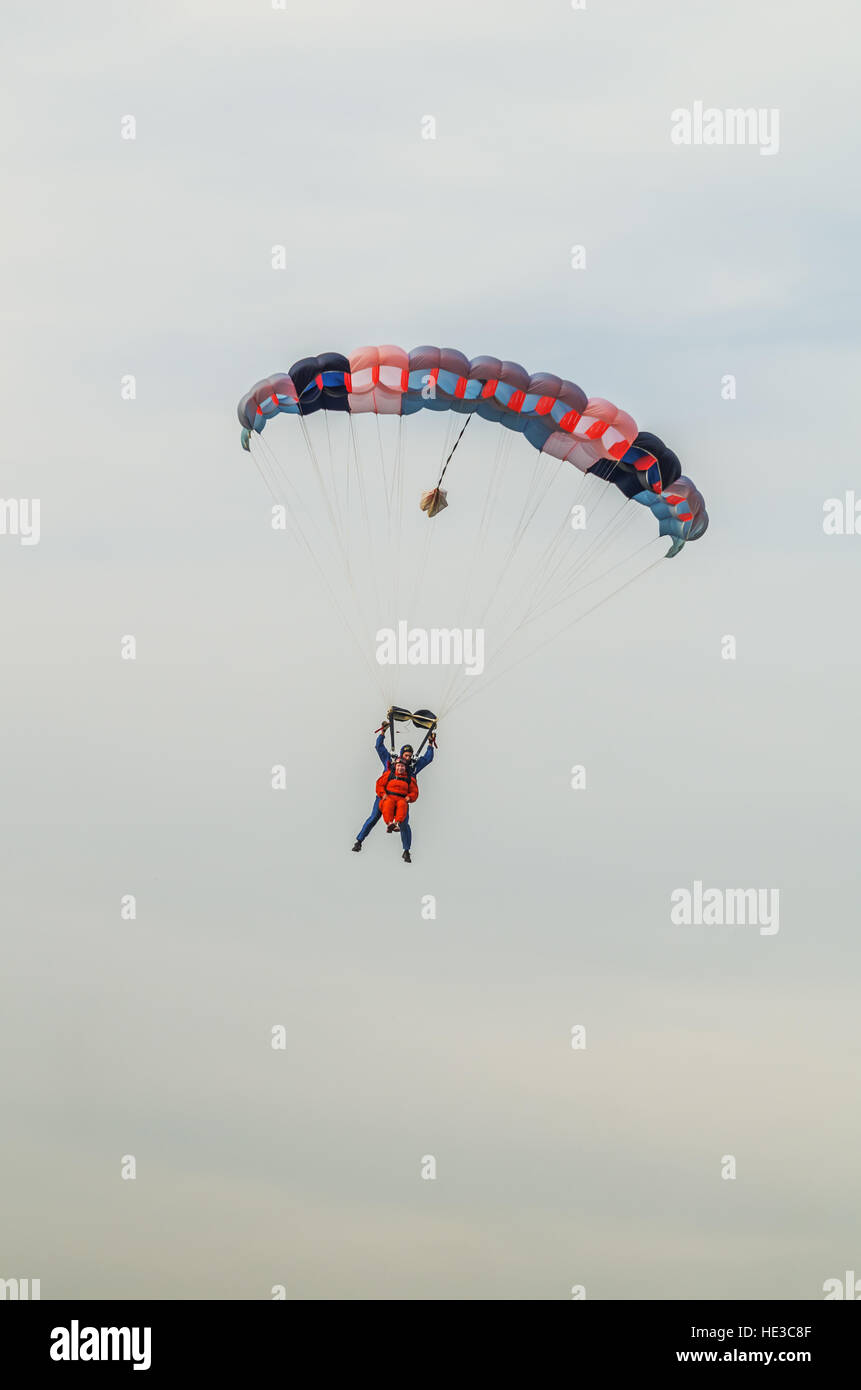 Parachutists - 2014.The skydivers flight under the parachute-tandem ...