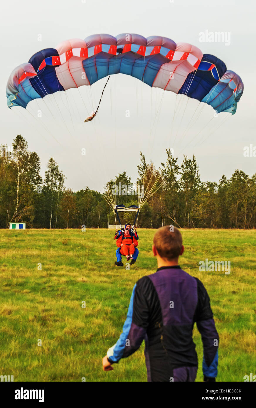 Parachutists - 2014.The skydivers landing under the parachute-tandem ...