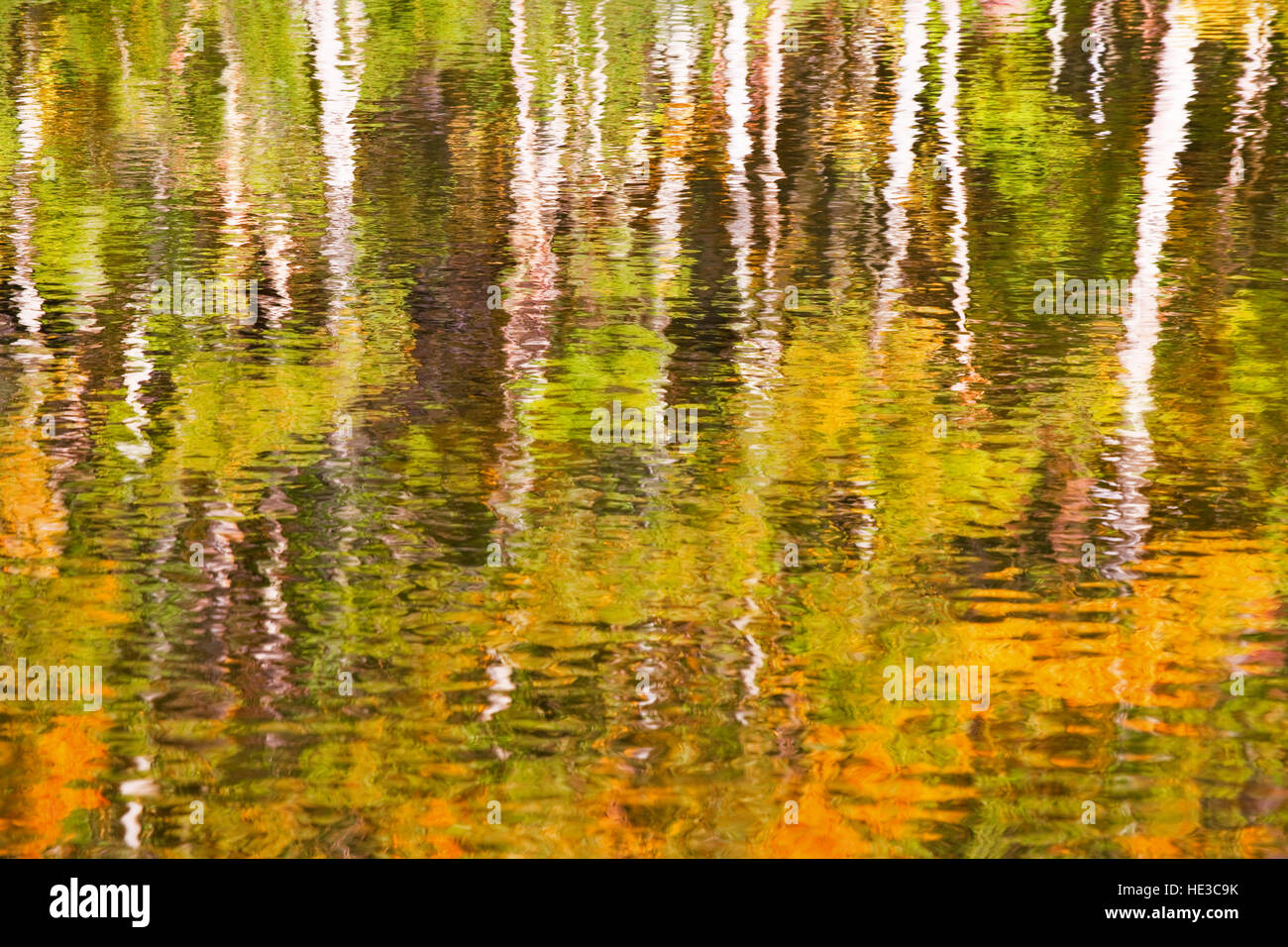 Fall foliage water reflections hi-res stock photography and images - Alamy