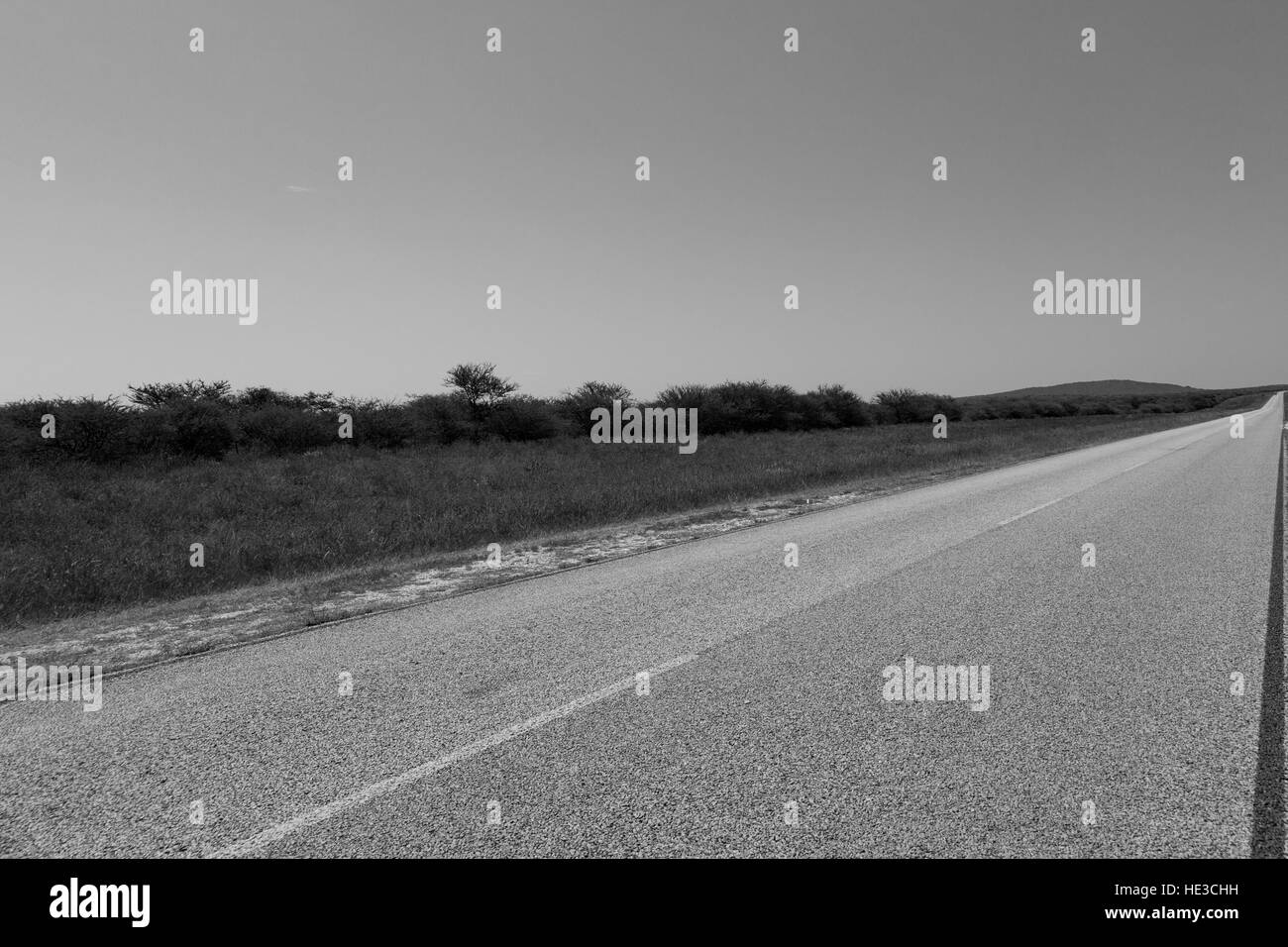 endless straight smooth road through the African desert in the Etosha ...
