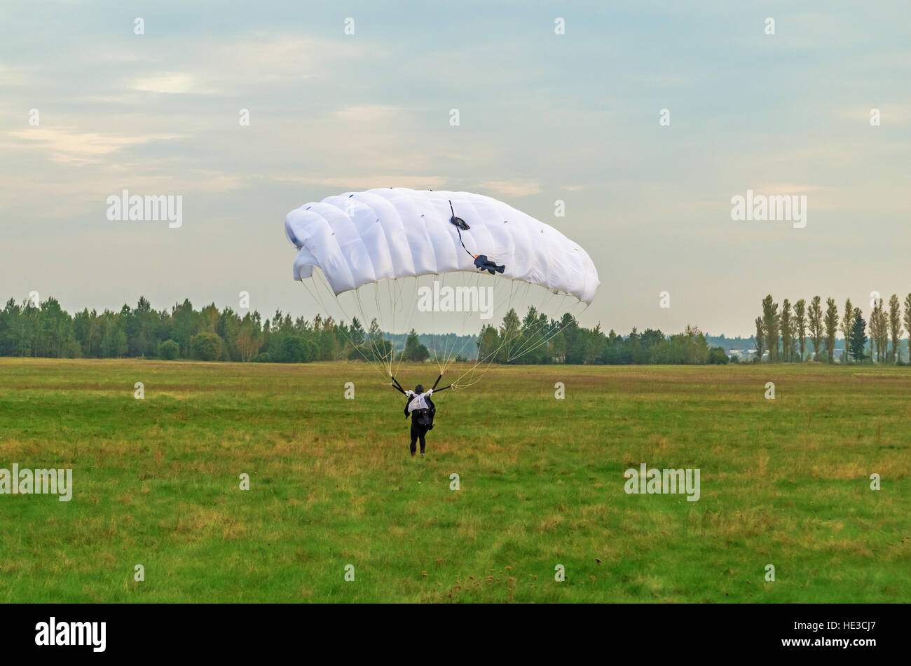 Parachutists - 2014. Landing Stock Photo - Alamy