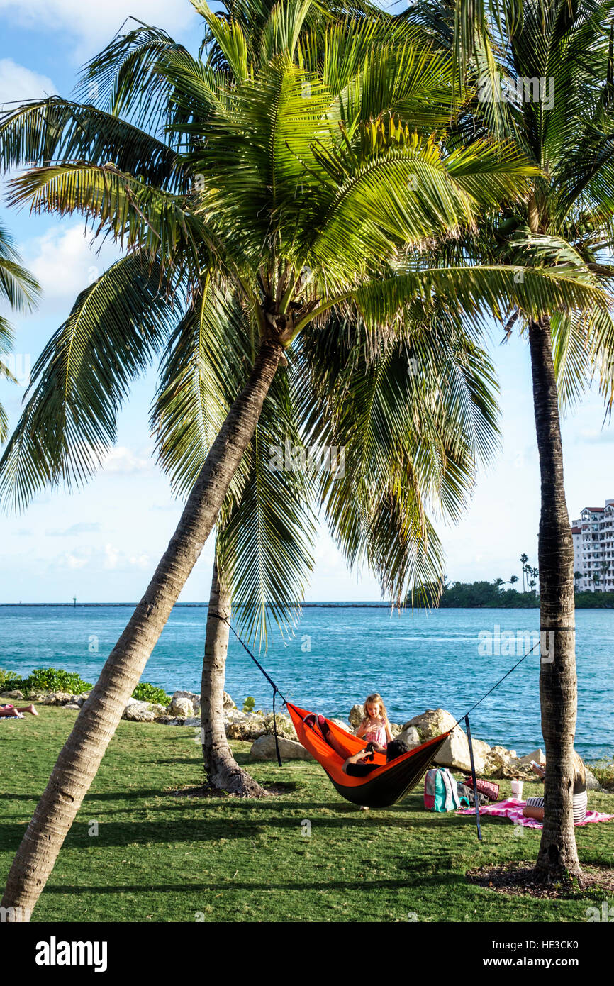 Miami Beach Florida,South Pointe Park,hammock,Government Cut,palm trees ...