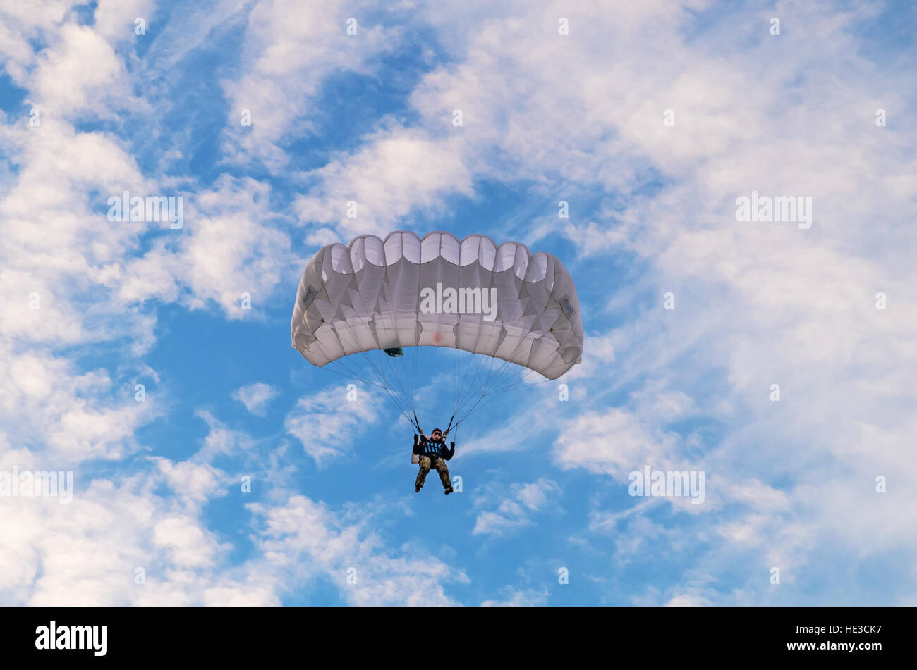 Parachutists - 2014.Flight under the parachute Stock Photo - Alamy