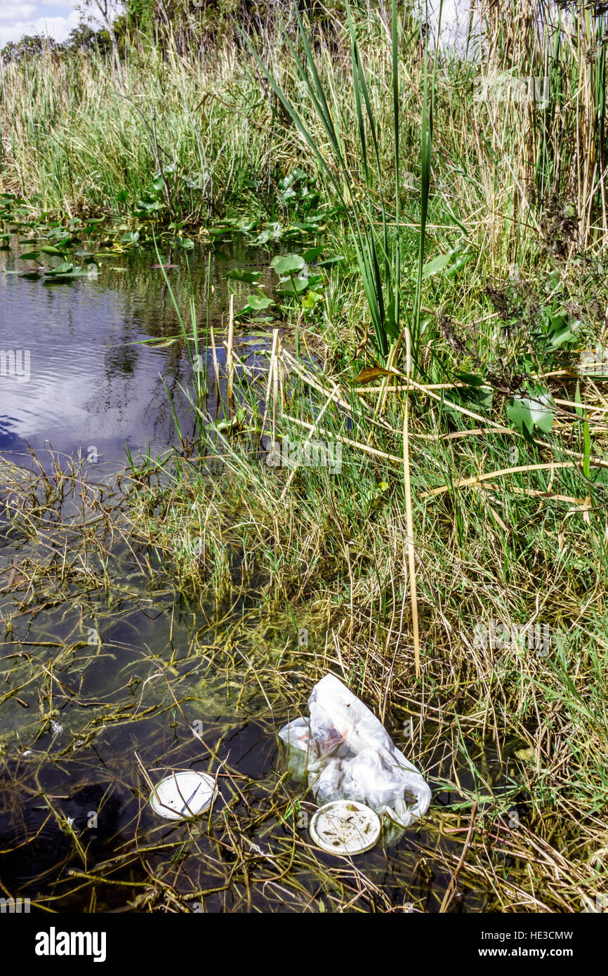 Everglades Florida Alligator Alley trash litter pollution Stock Photo ...