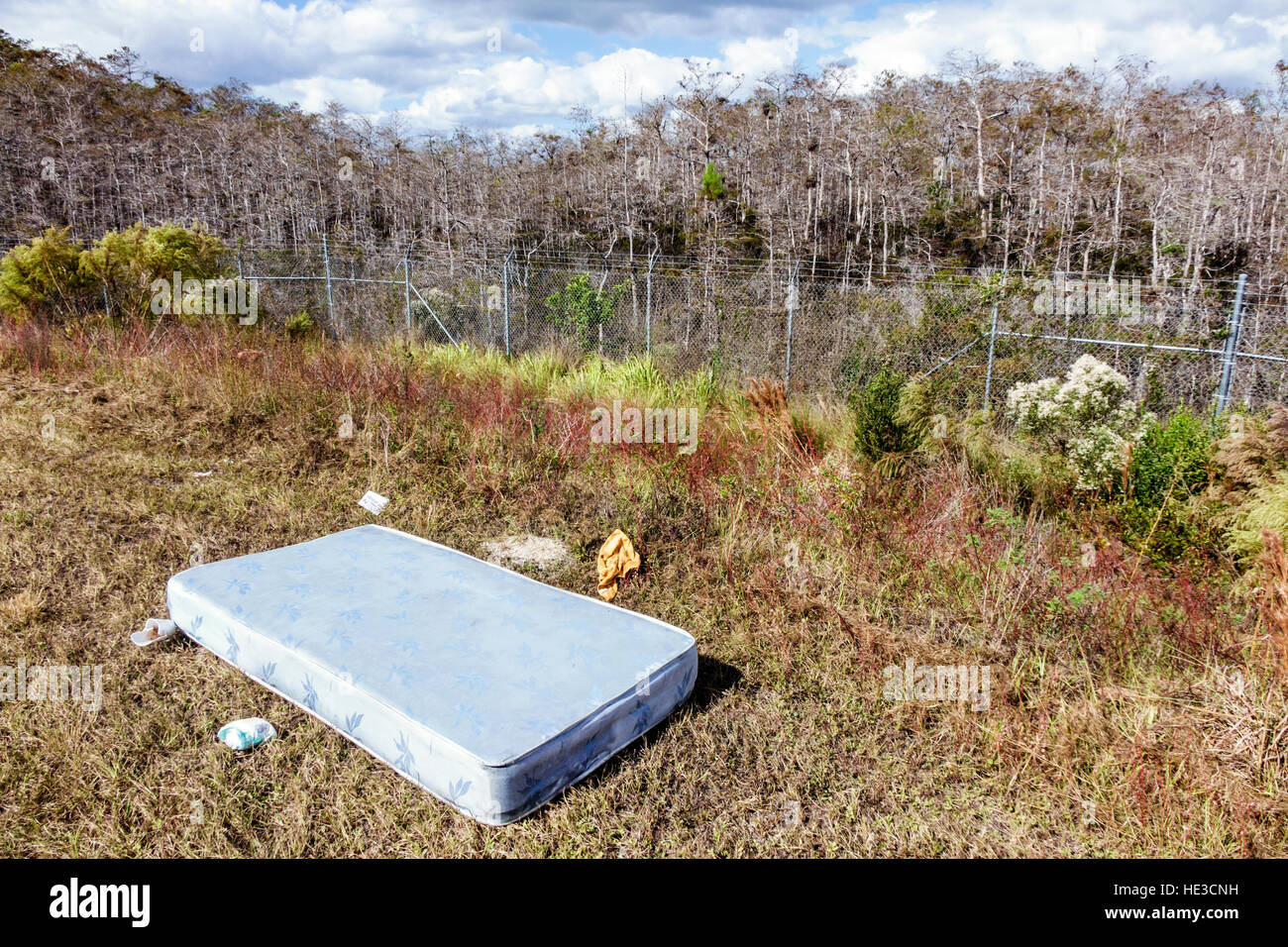 Florida,South,Everglades,Alligator Alley,discarded mattress,trash ...