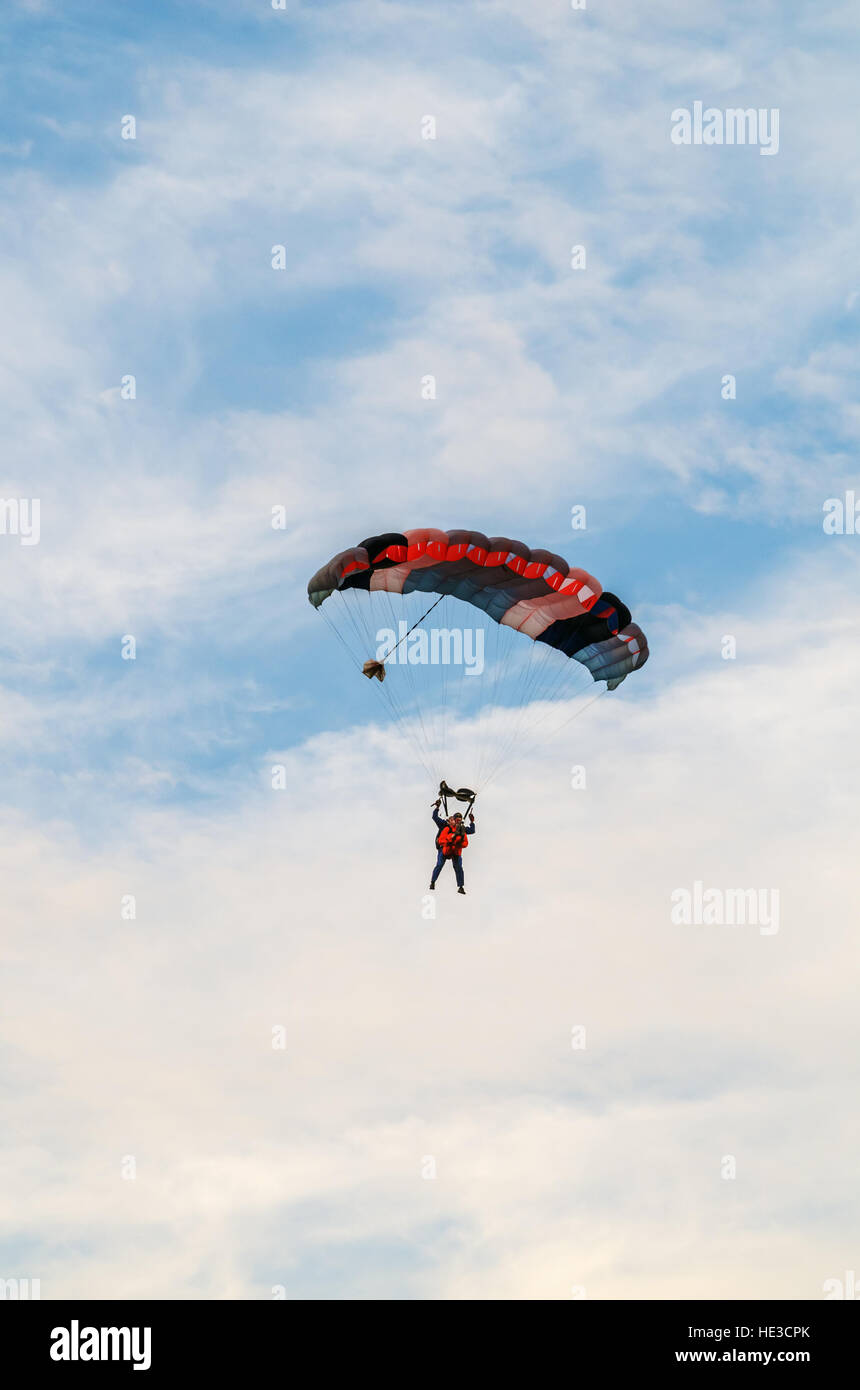 Parachutists - 2014.The skydivers flight under the parachute.Tandem ...