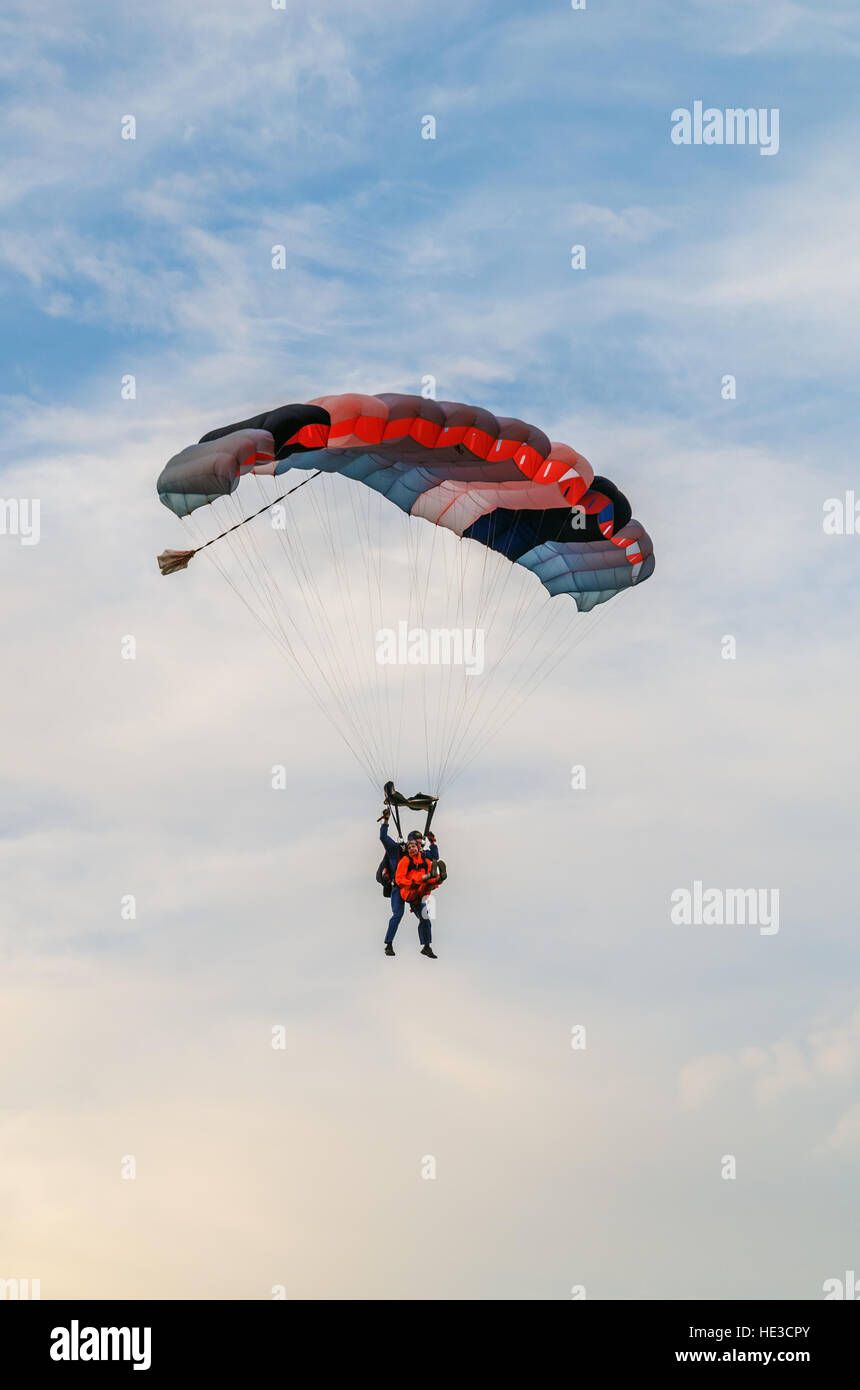Parachutists - 2014.The skydivers flight under the parachute.Tandem ...