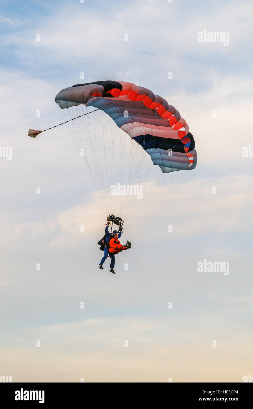 Parachutists - 2014.The skydivers flight under the parachute.Tandem ...