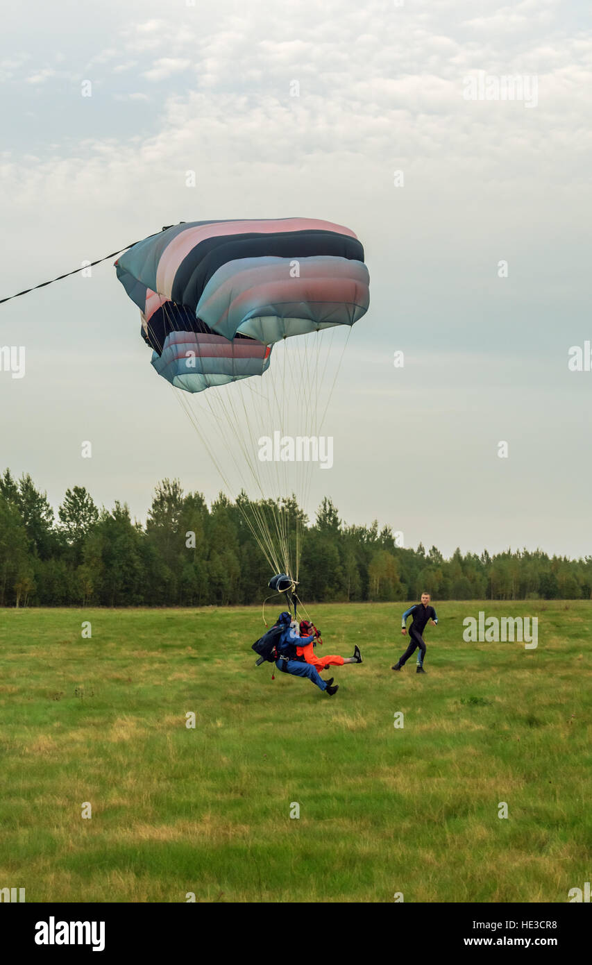 Parachutists - 2014.The skydivers landing under the parachute-tandem ...