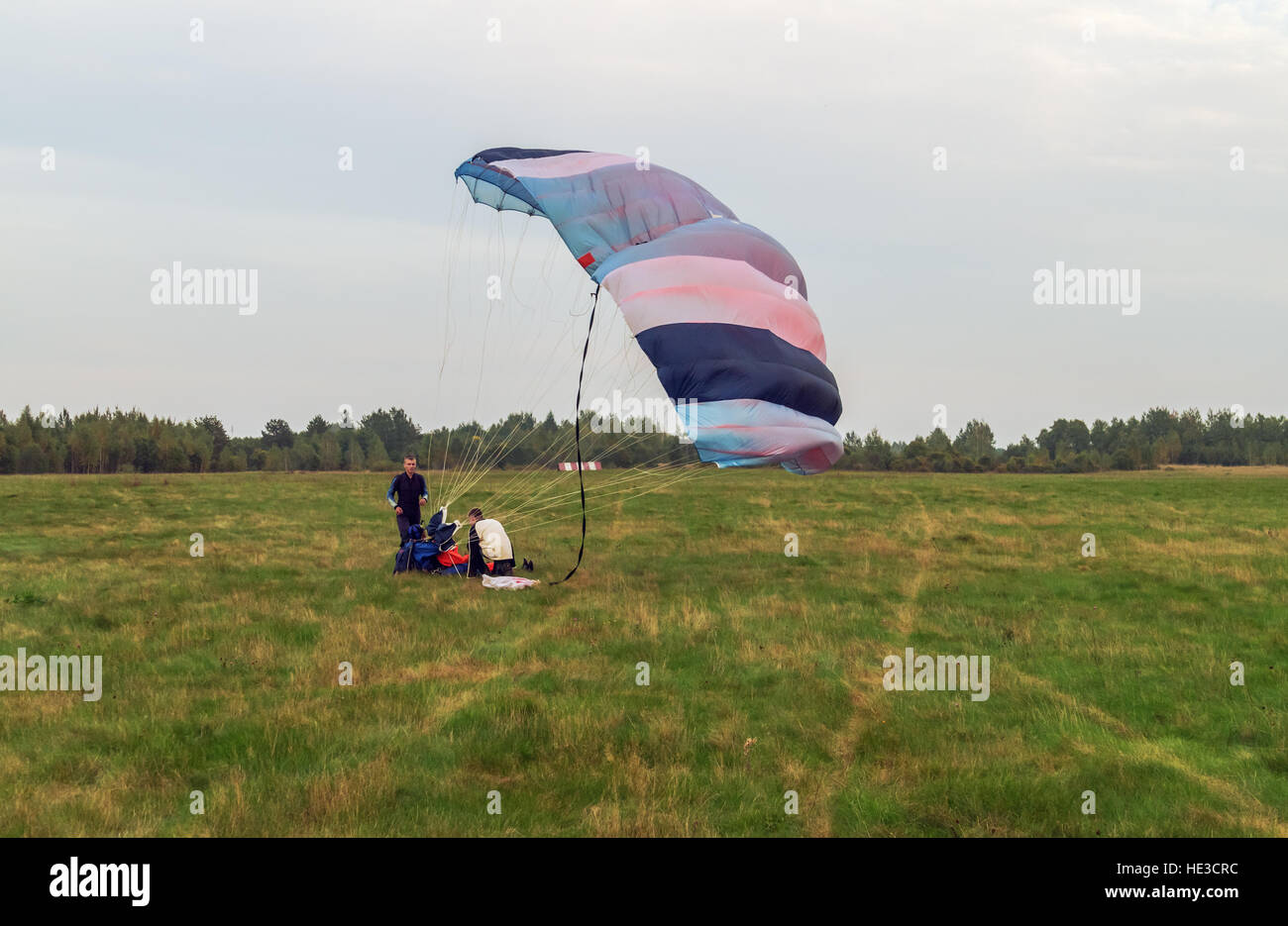 Parachutists - 2014.The skydivers landing under the parachute-tandem ...