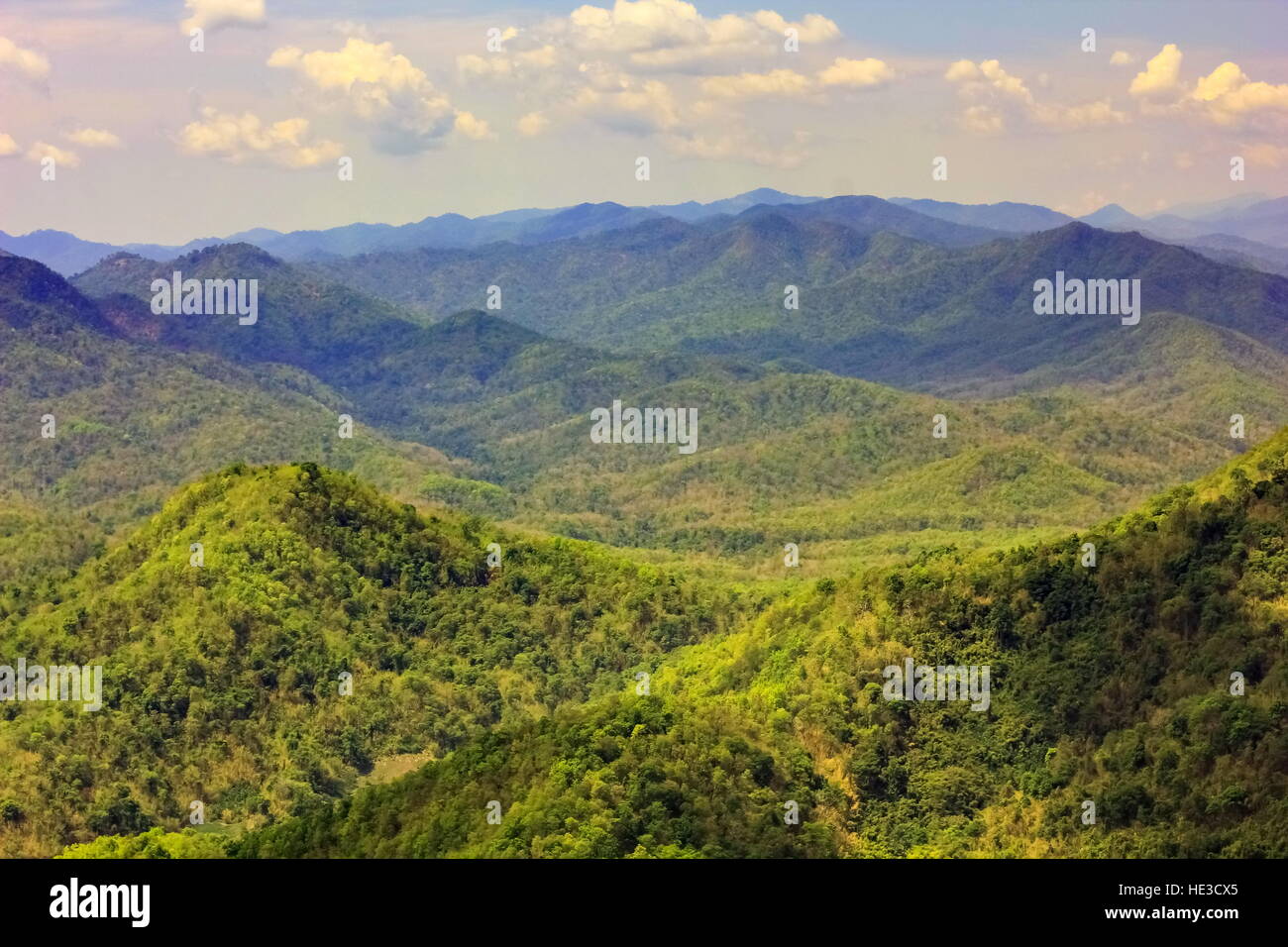 aerial view of the forest Stock Photo - Alamy