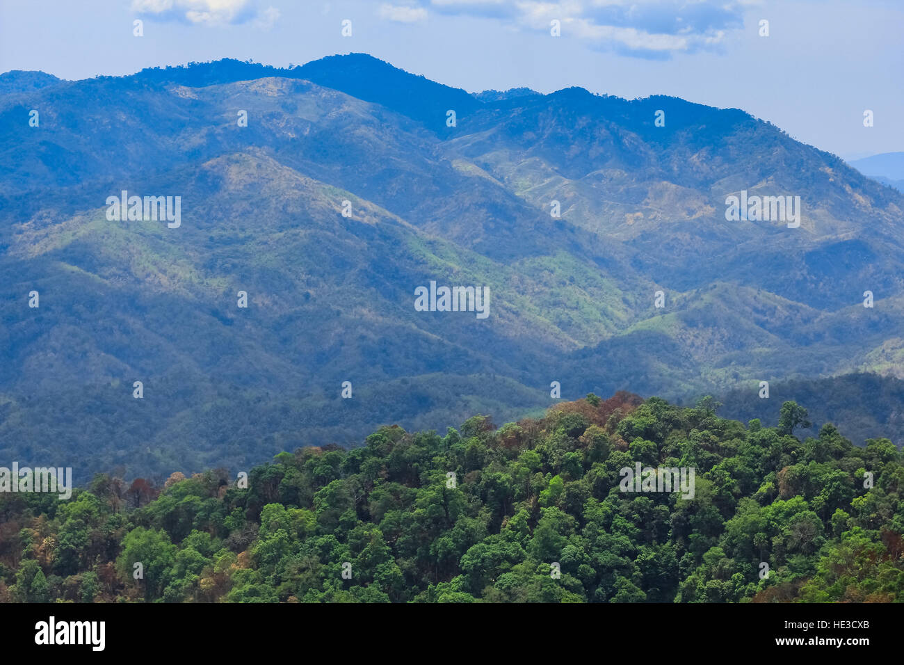 aerial view of the forest Stock Photo - Alamy