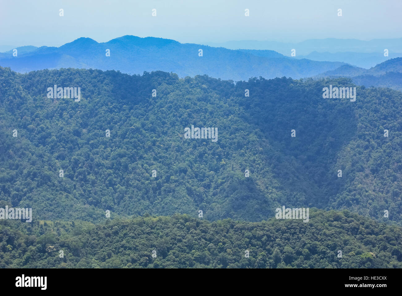 aerial view of the forest Stock Photo - Alamy