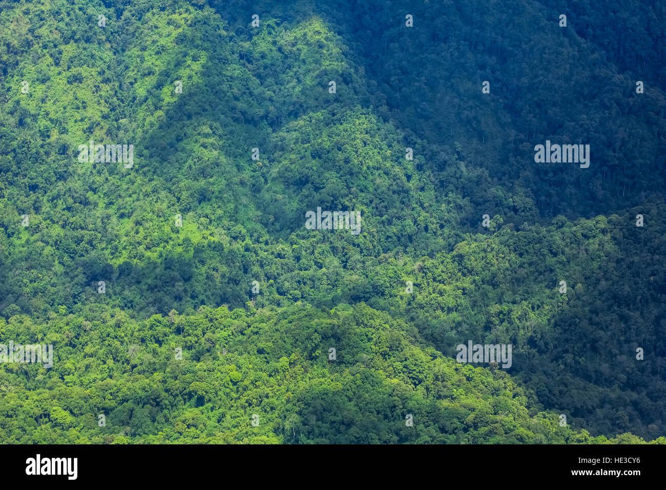 aerial view of the forest Stock Photo - Alamy