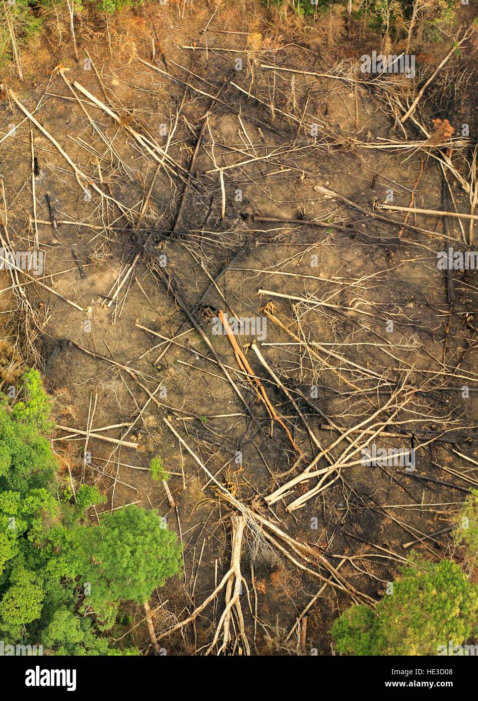forest destruction in thailand form Aerial view Stock Photo - Alamy