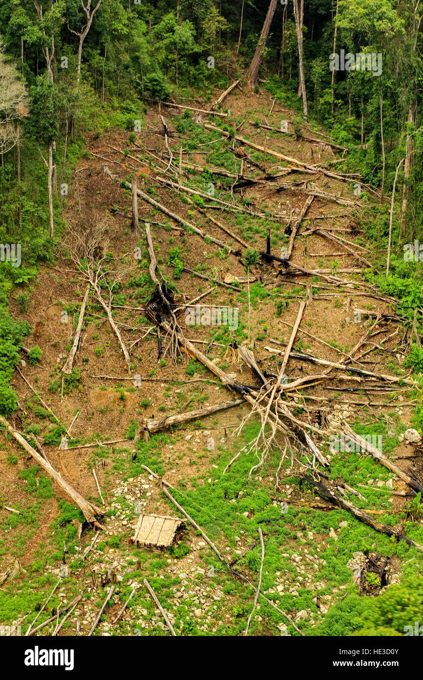 forest destruction in thailand form Aerial view Stock Photo - Alamy
